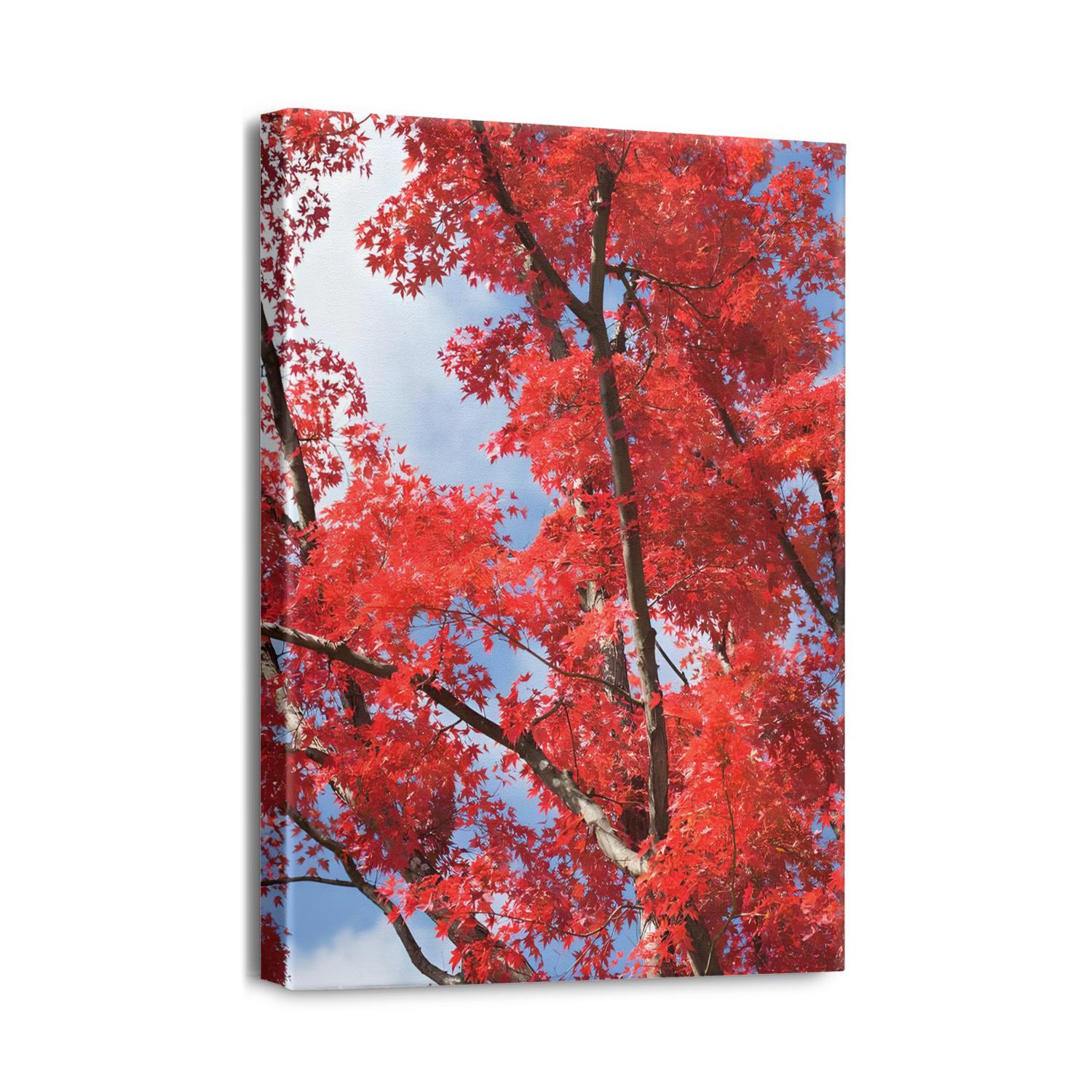 Modern Scenery Draw Prints - 12x16 Artwork Featuring Gorgeous Tree ...