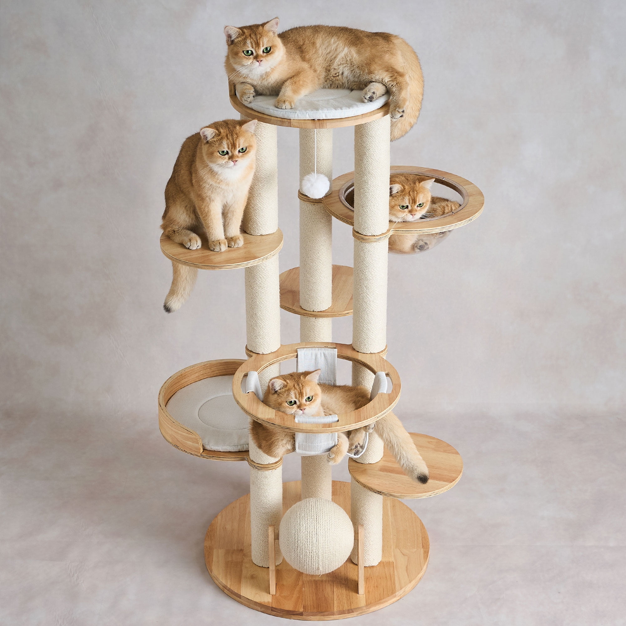 Modern Solid Wood Cat Tree Tower, 54" Tall Cat Tree with Sisal ...