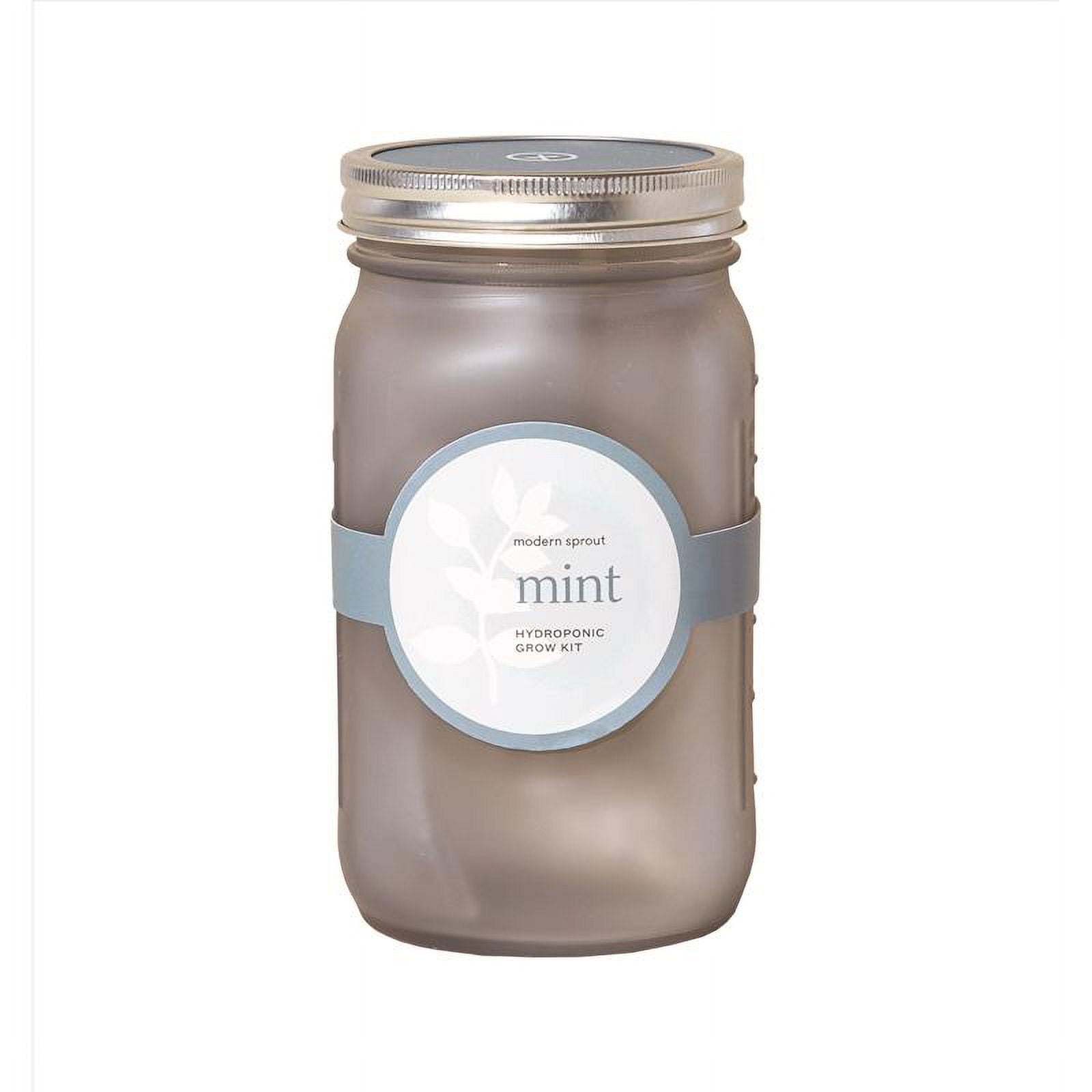 Modern Sprout 7006069 Mint Grow Kit - Walmart.com