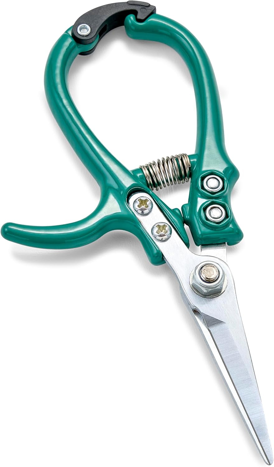 Modern Sprout Pruning Shears for Gardening, Herb Snips, Flower Cutting ...