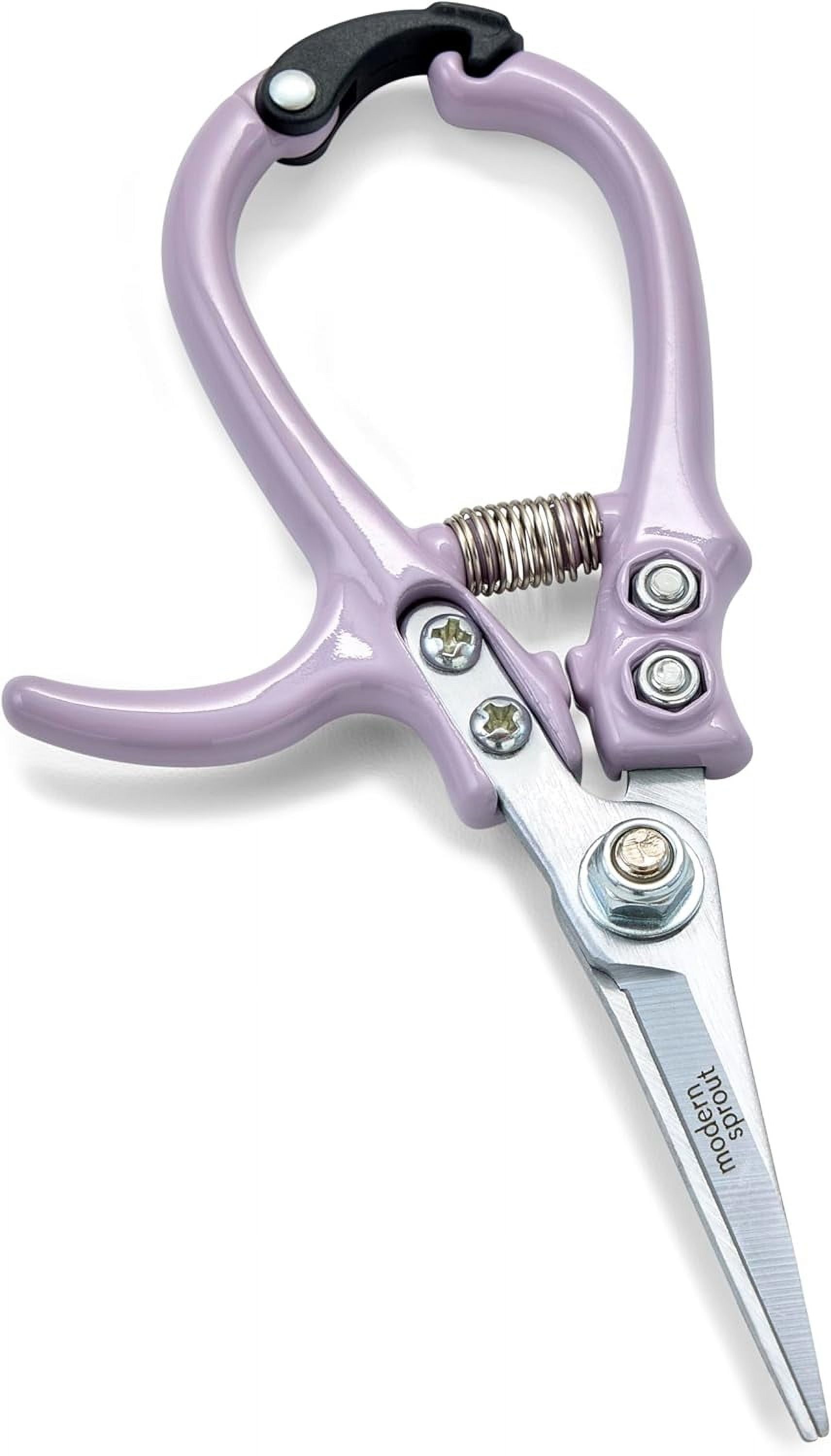 Modern Sprout Pruning Shears for Gardening, Herb Snips, Flower Cutting ...