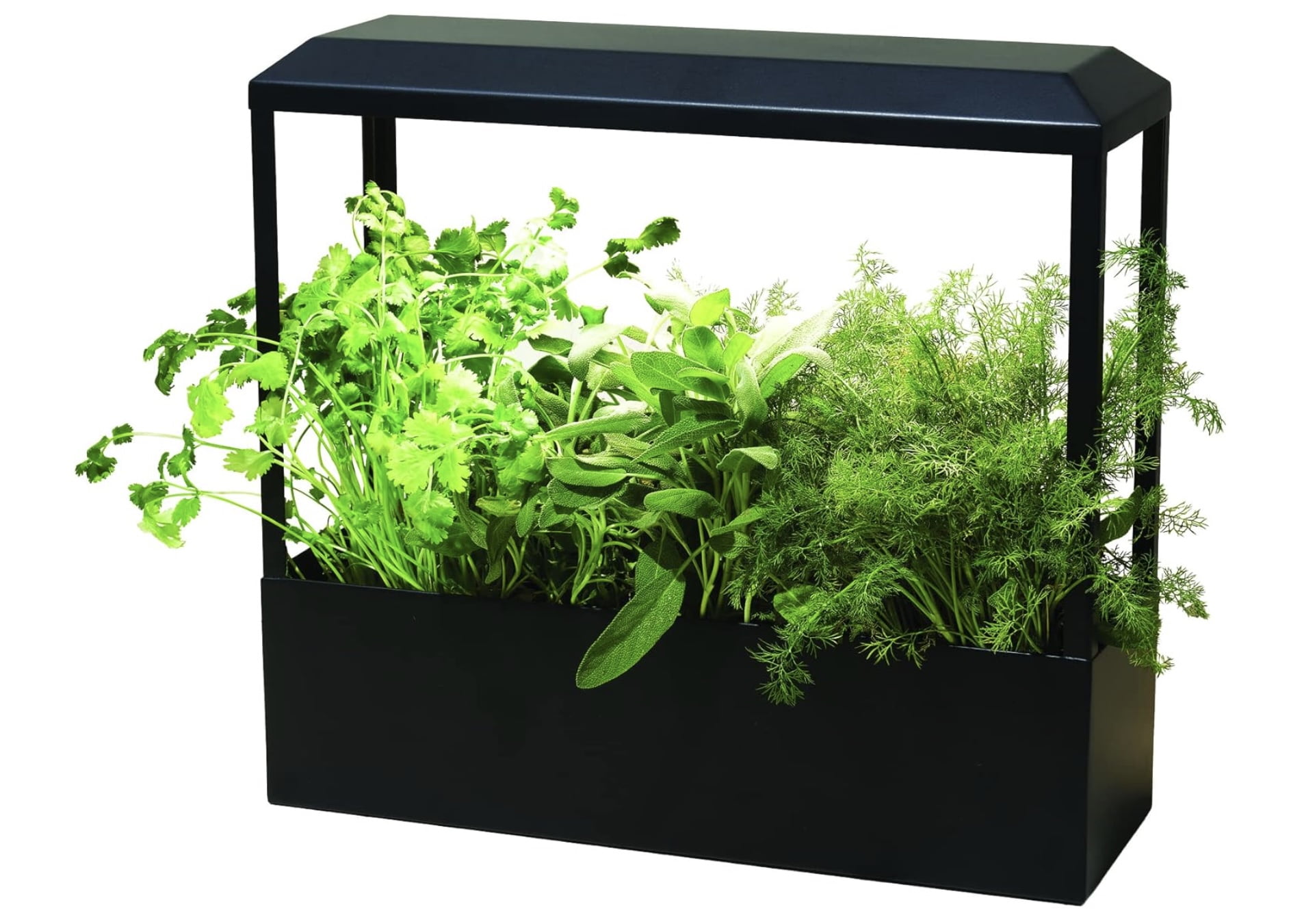 Modern Sprout Smart Growhouse - Matte Black - Walmart.com