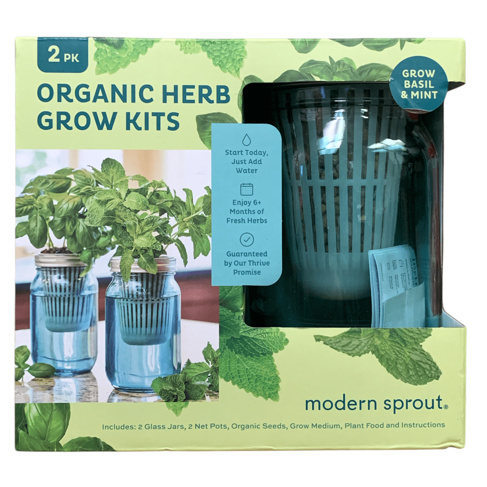 Modern Sprout Herb Grow Kit 2pk, Basil and Mint, Hydroponic Mason Jar ...