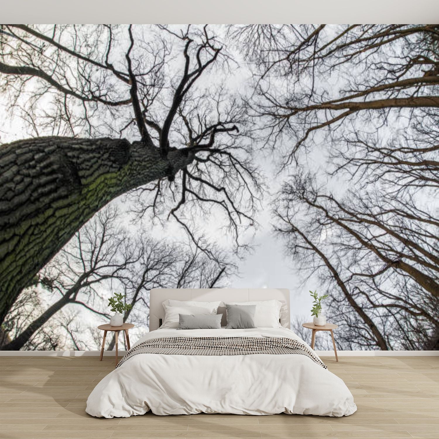 Modern Wallpaper Murals 3D Art abstract artistic fisheye view Forest ...