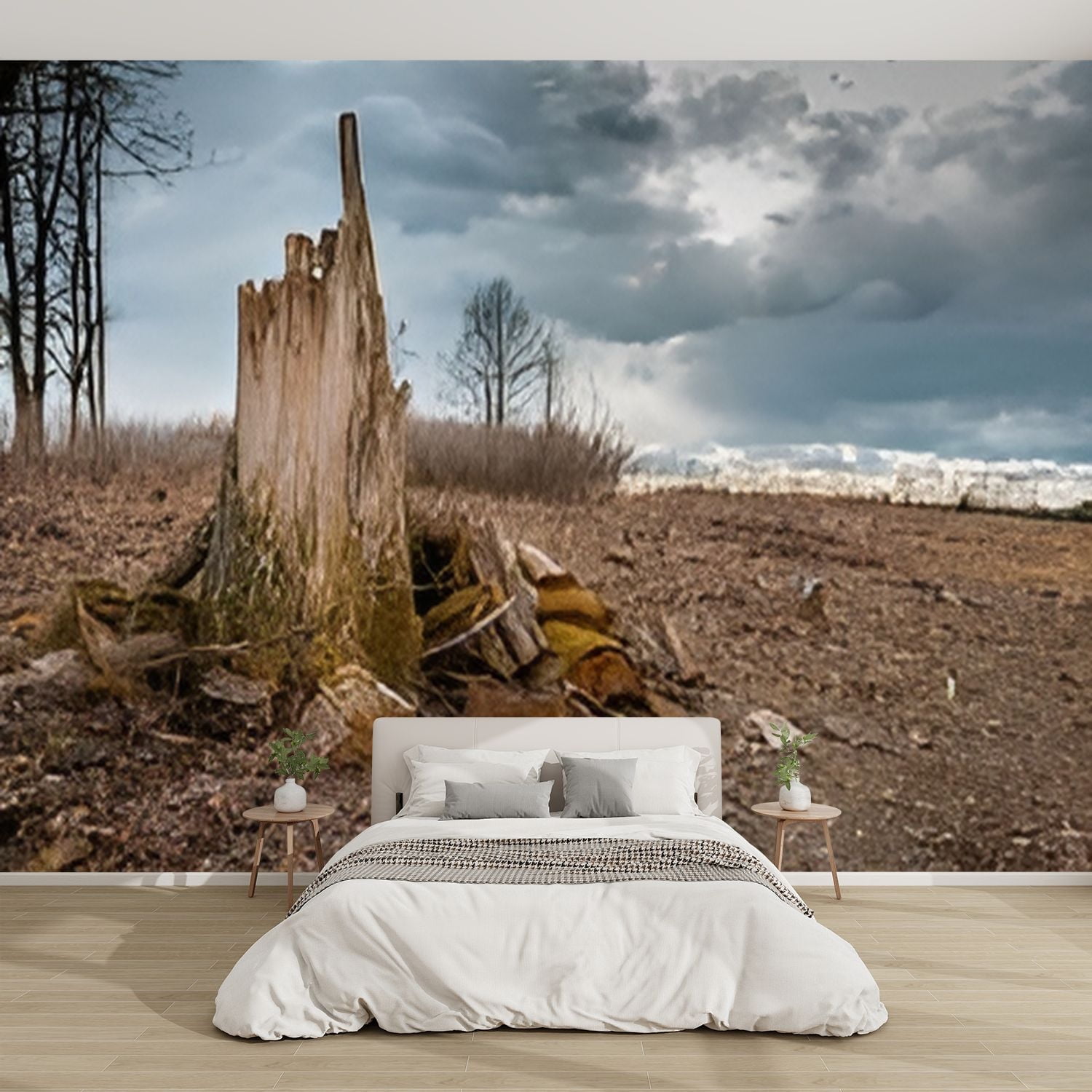Modern Wallpaper Murals 3D Broken tree trunk Big Old break broken tree ...