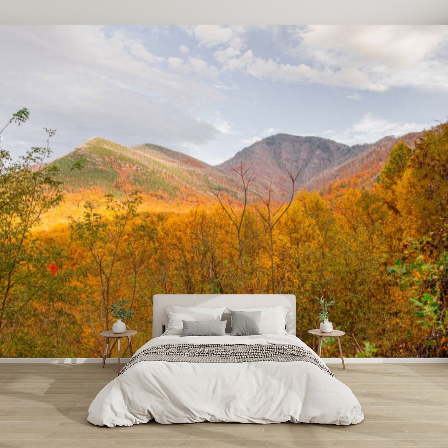 Modern Wallpaper Murals 3D C Overlook Colorful Autumn Trees Mountain ...
