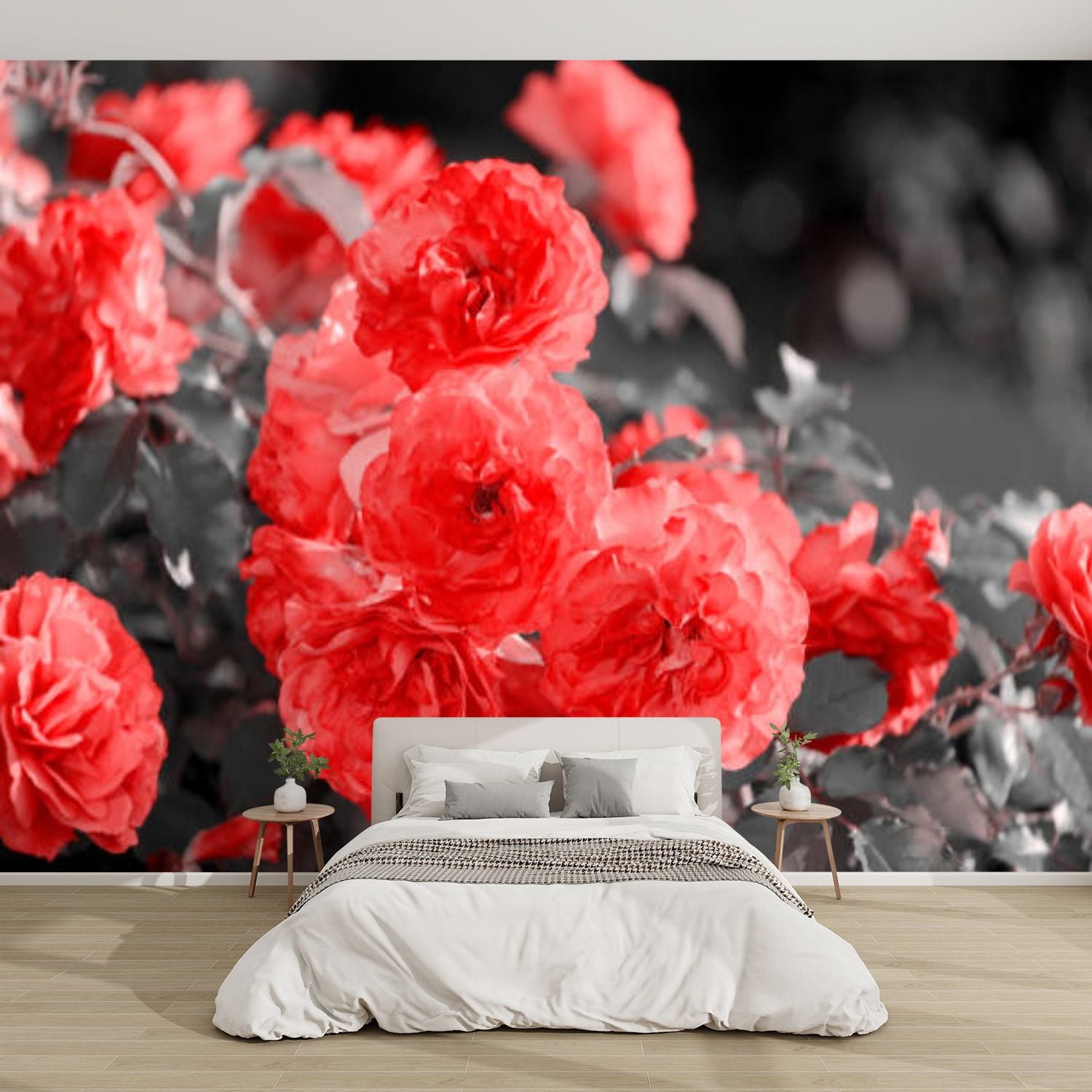 Modern Wallpaper Murals 3D Close up beautiful red roses Peel and Stick ...