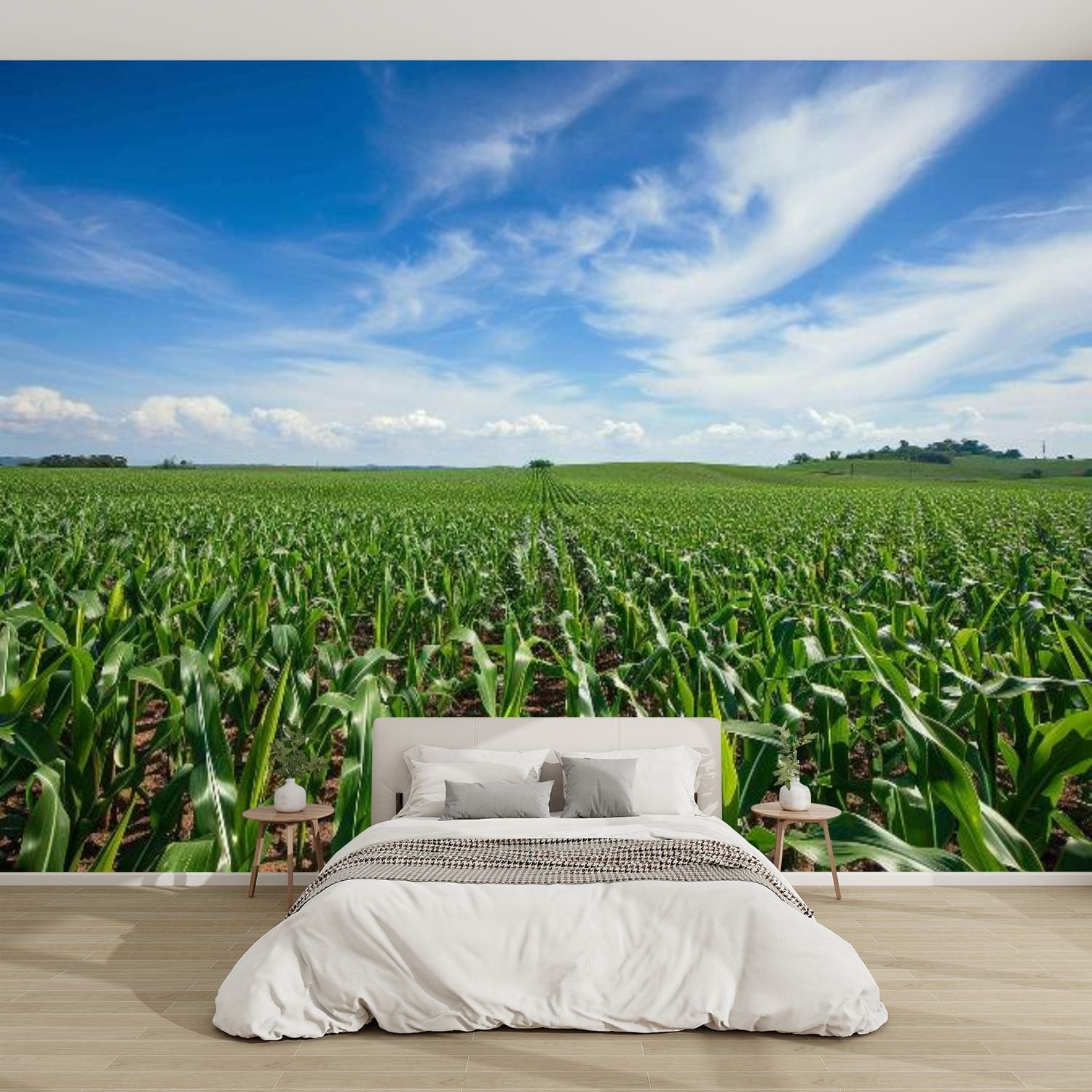 Modern Wallpaper Murals 3D Cornfield blue sky Peel and Stick Removable ...