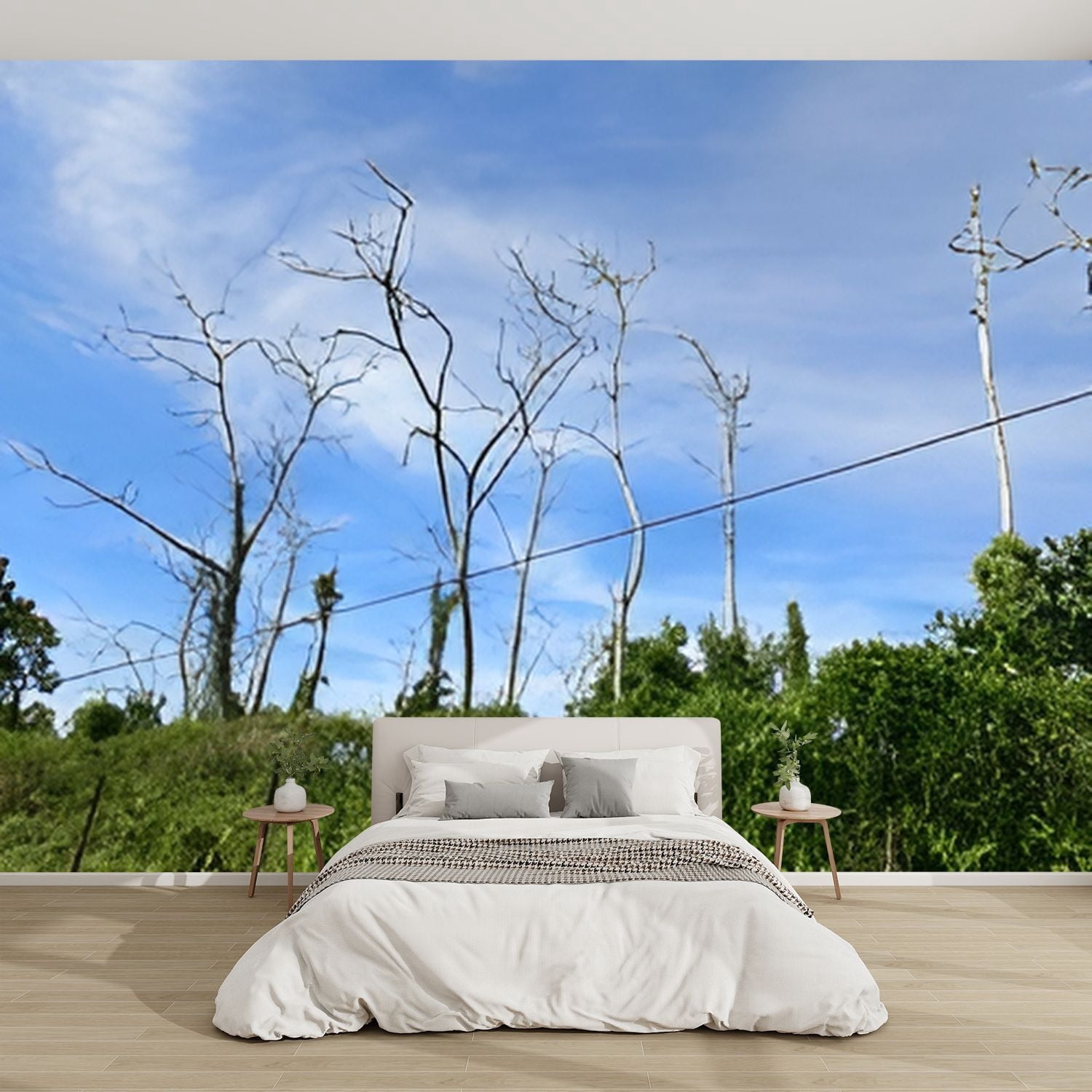 Modern Wallpaper Murals 3D Dead tree sky view sky view old tree dry ...