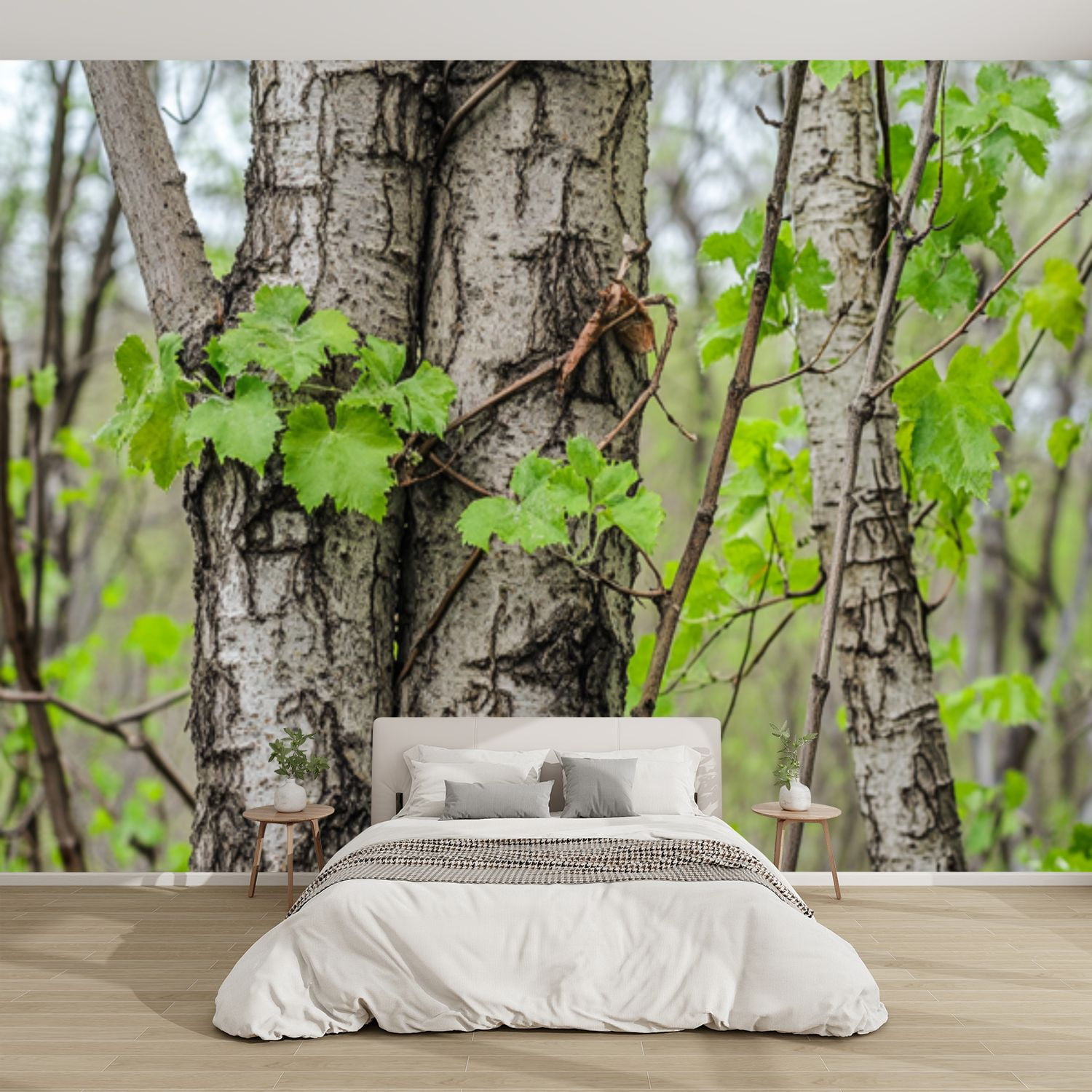 Modern Wallpaper Murals 3D Forest Birch Trees Dense Foliage Vibrant ...