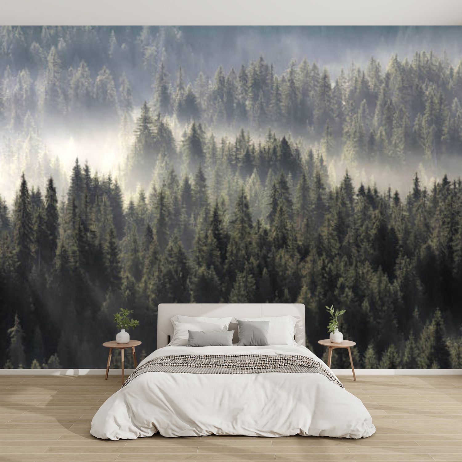 Modern Wallpaper Murals 3D Forested slope low lying cloud conifers ...