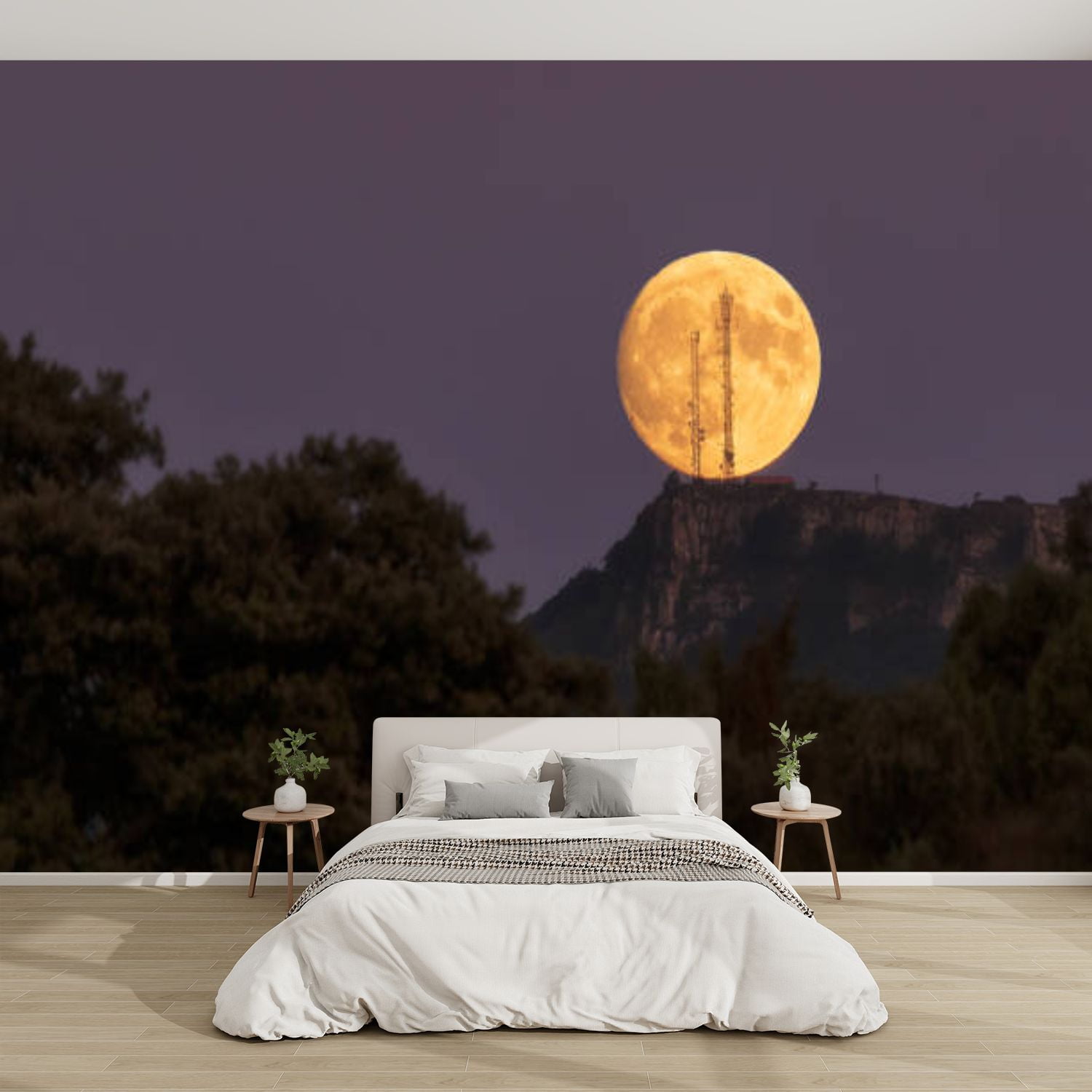 Modern Wallpaper Murals 3D Full moon crossing two antennas Alava Peel ...