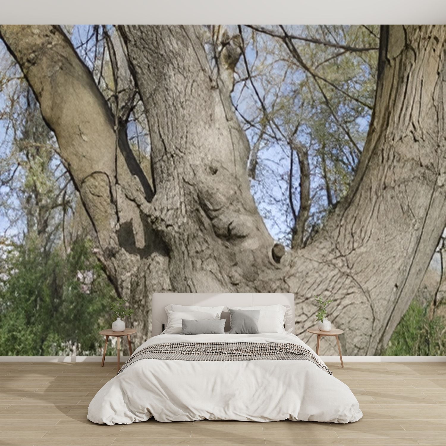 Modern Wallpaper Murals 3D Huge tree trunks branches Big old tree ...