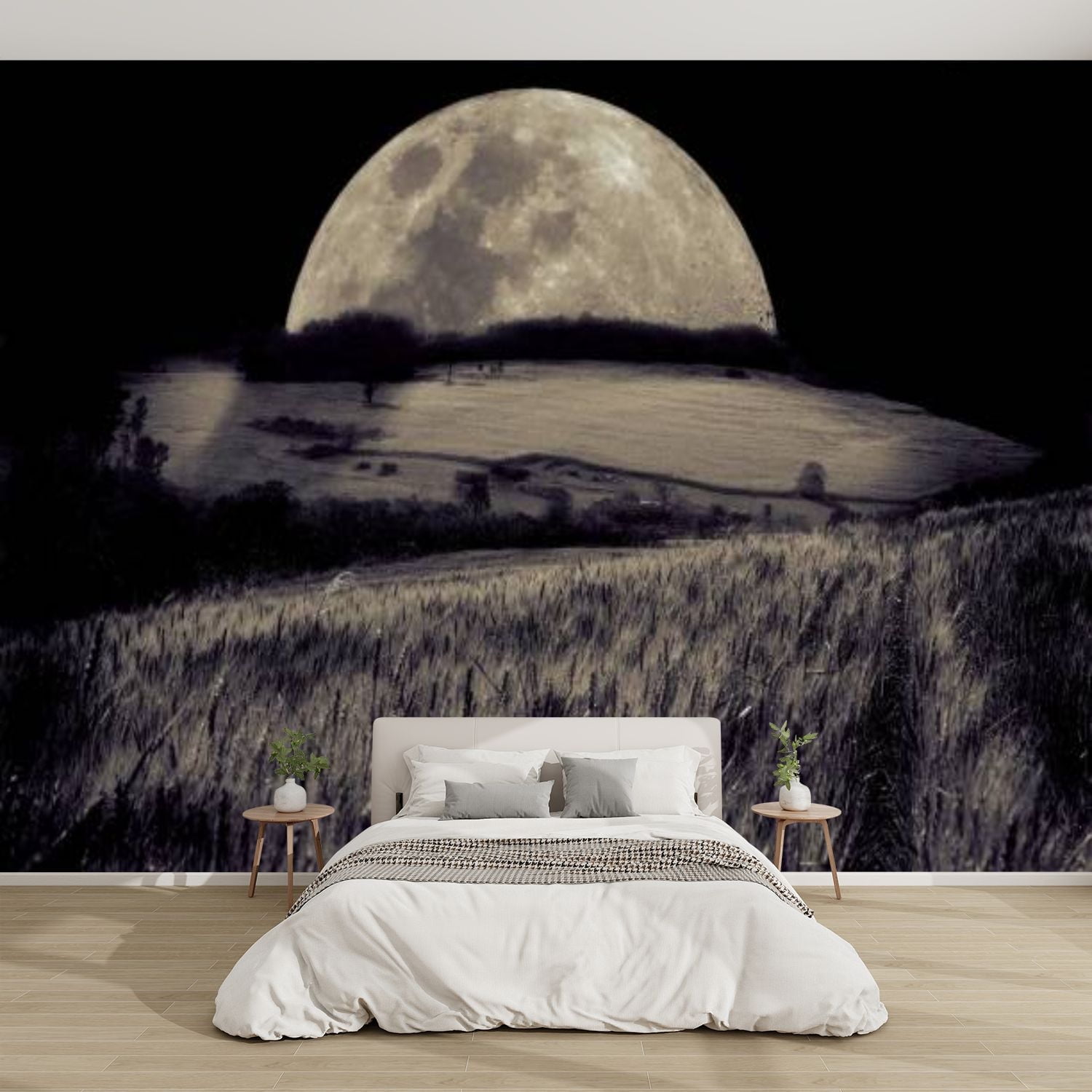 Modern Wallpaper Murals 3D Landscape moon Peel and Stick Removable Self ...