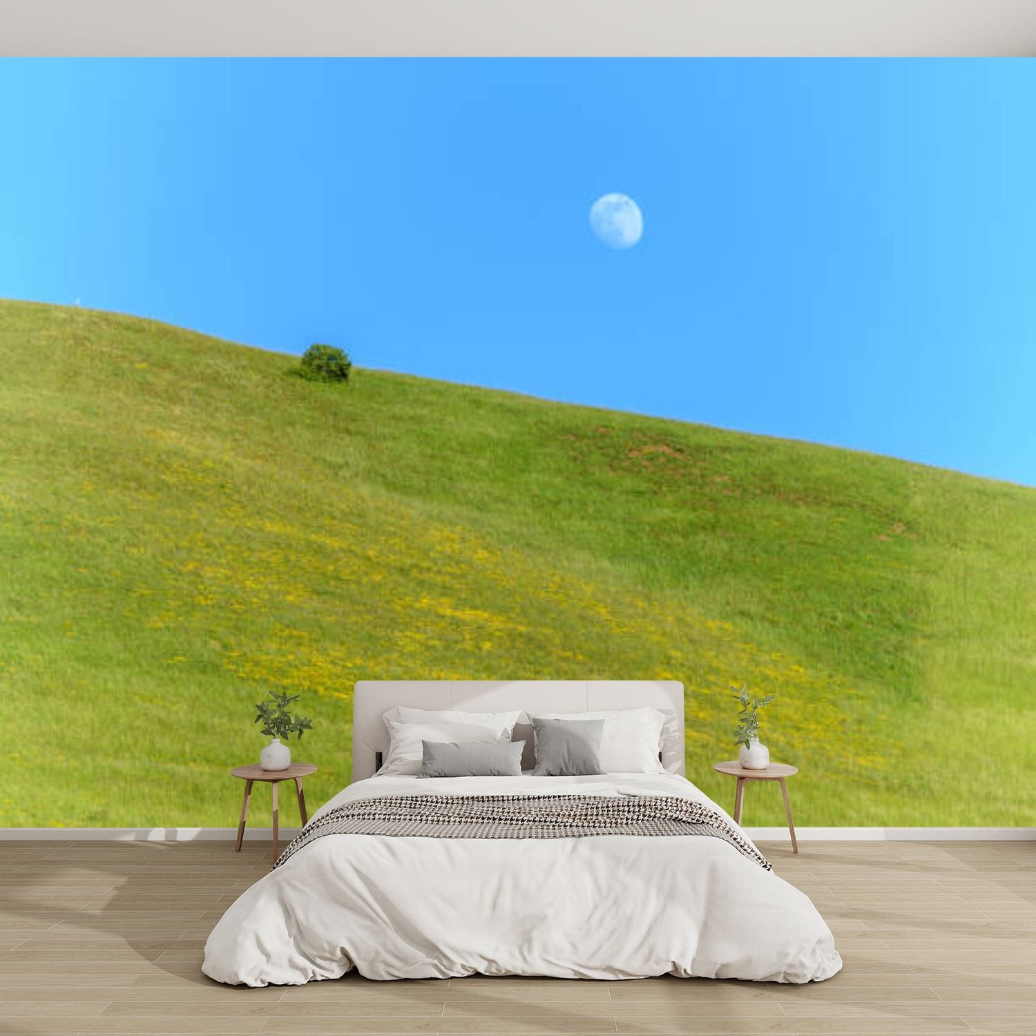 Modern Wallpaper Murals 3D Landscape moon spring Peel and Stick ...