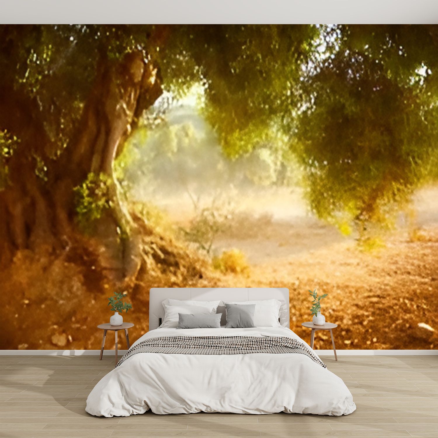 Modern Wallpaper Murals 3D Olive Trees Mediterranean olive field old ...
