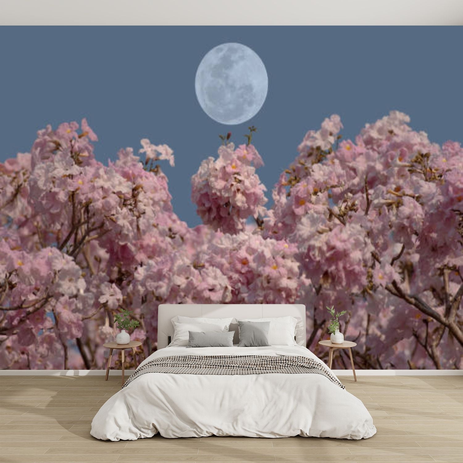 Modern Wallpaper Murals 3D Pink tabebuia rosea flower full moon sky ...