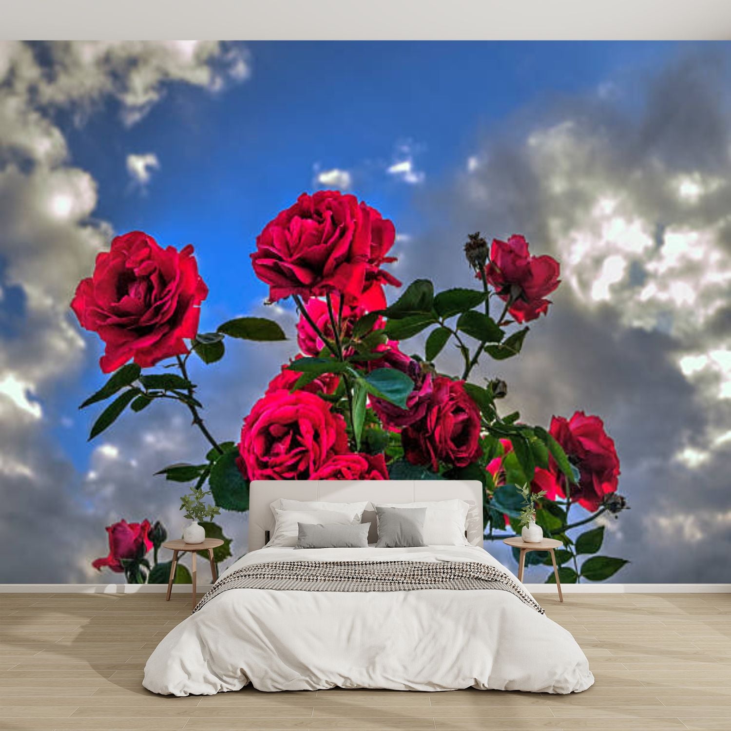 Modern Wallpaper Murals 3D Red Roses Against Dramatic Sky Peel and ...