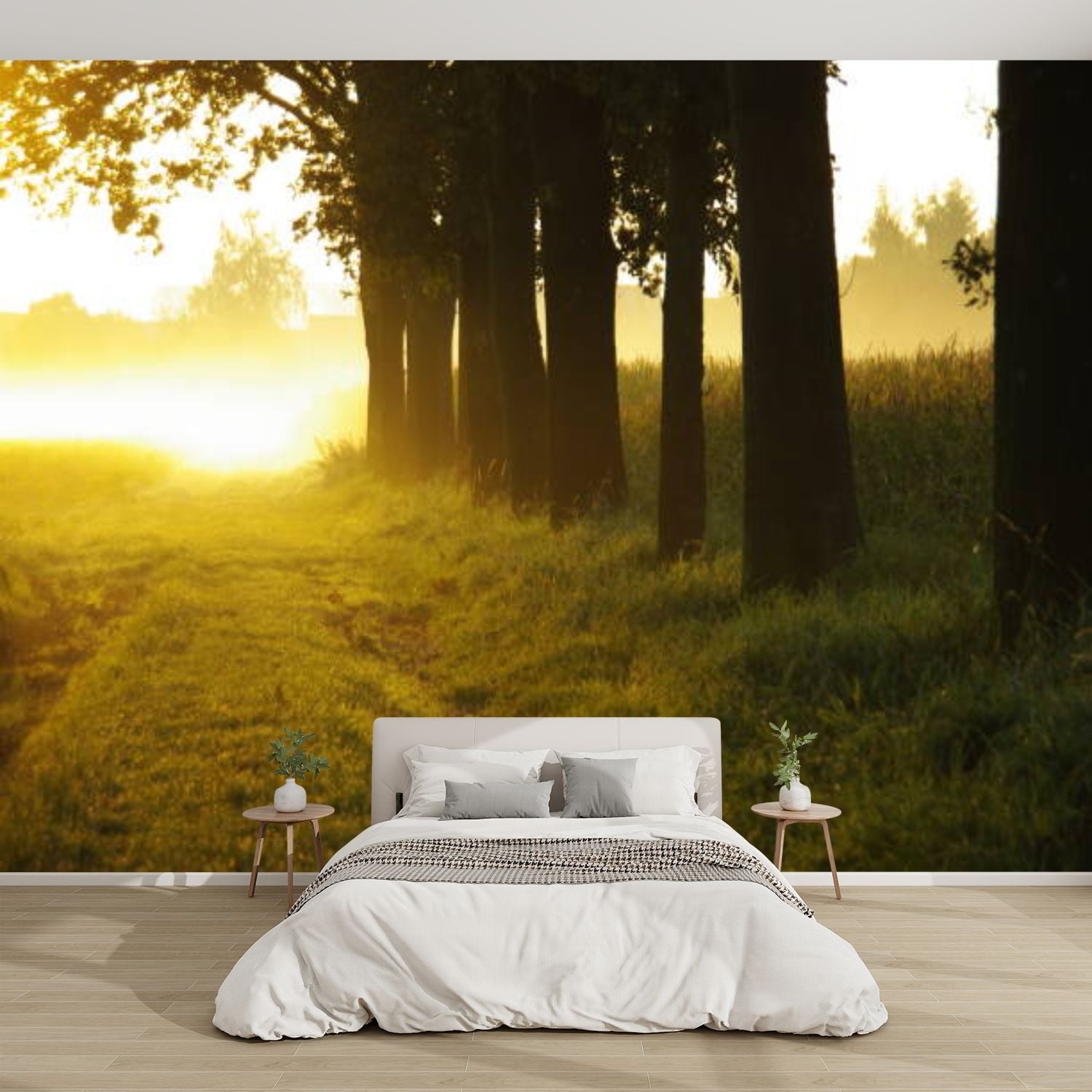Modern Wallpaper Murals 3D Rural sunrise Peel and Stick Removable Self ...