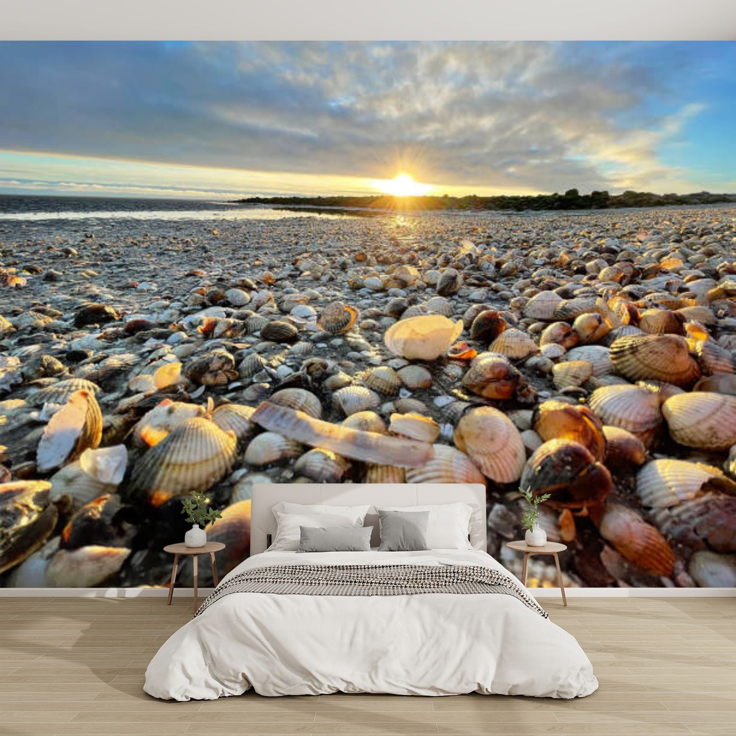 Modern Wallpaper Murals 3D Sea shells wet sand Summer North sea ...