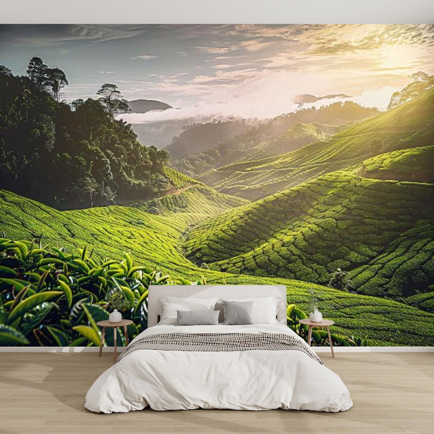 Modern Wallpaper Murals 3D Sunset tea plantation Malaysia Peel and ...