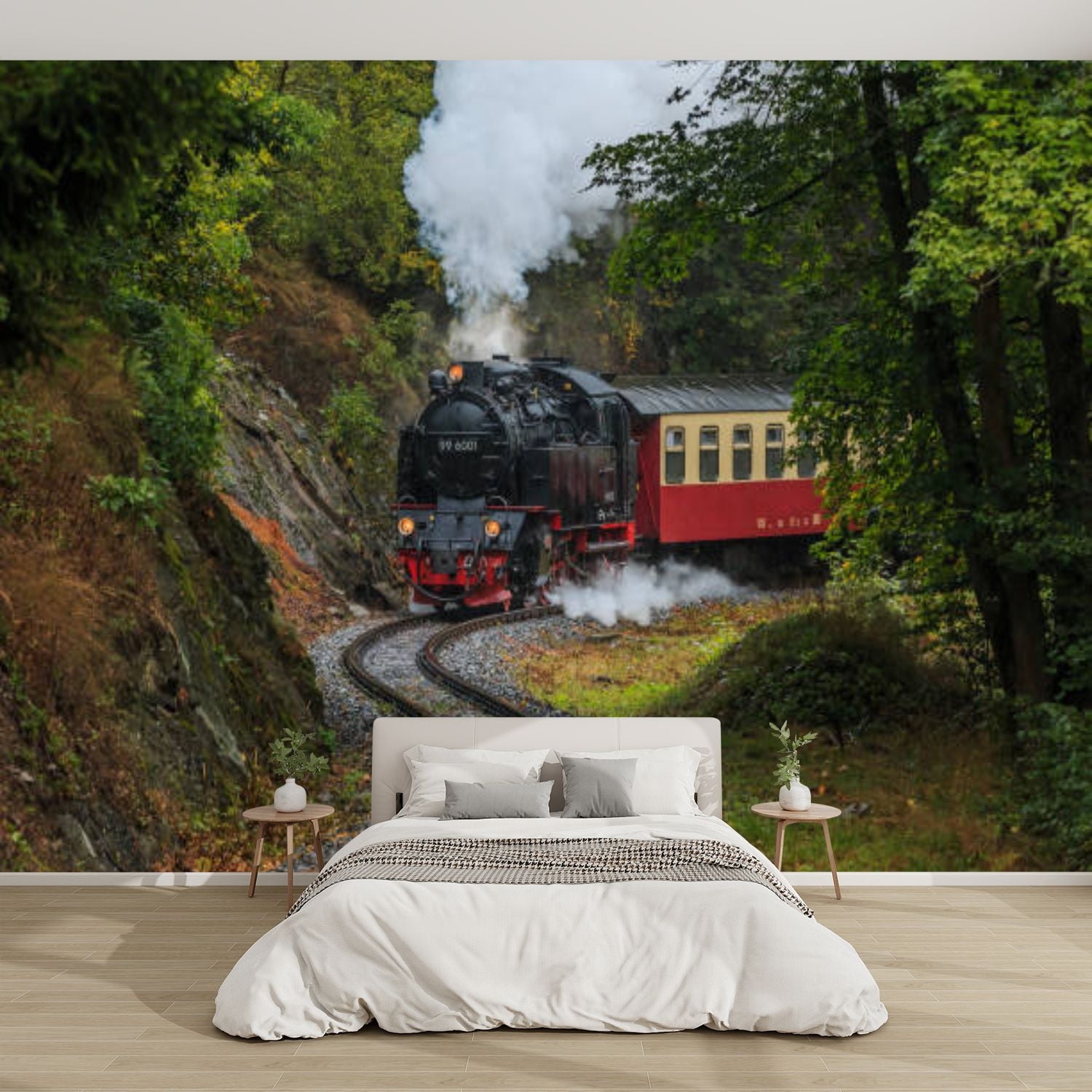 Modern Wallpaper Murals 3D Train Harz Mountain Peel and Stick Removable ...