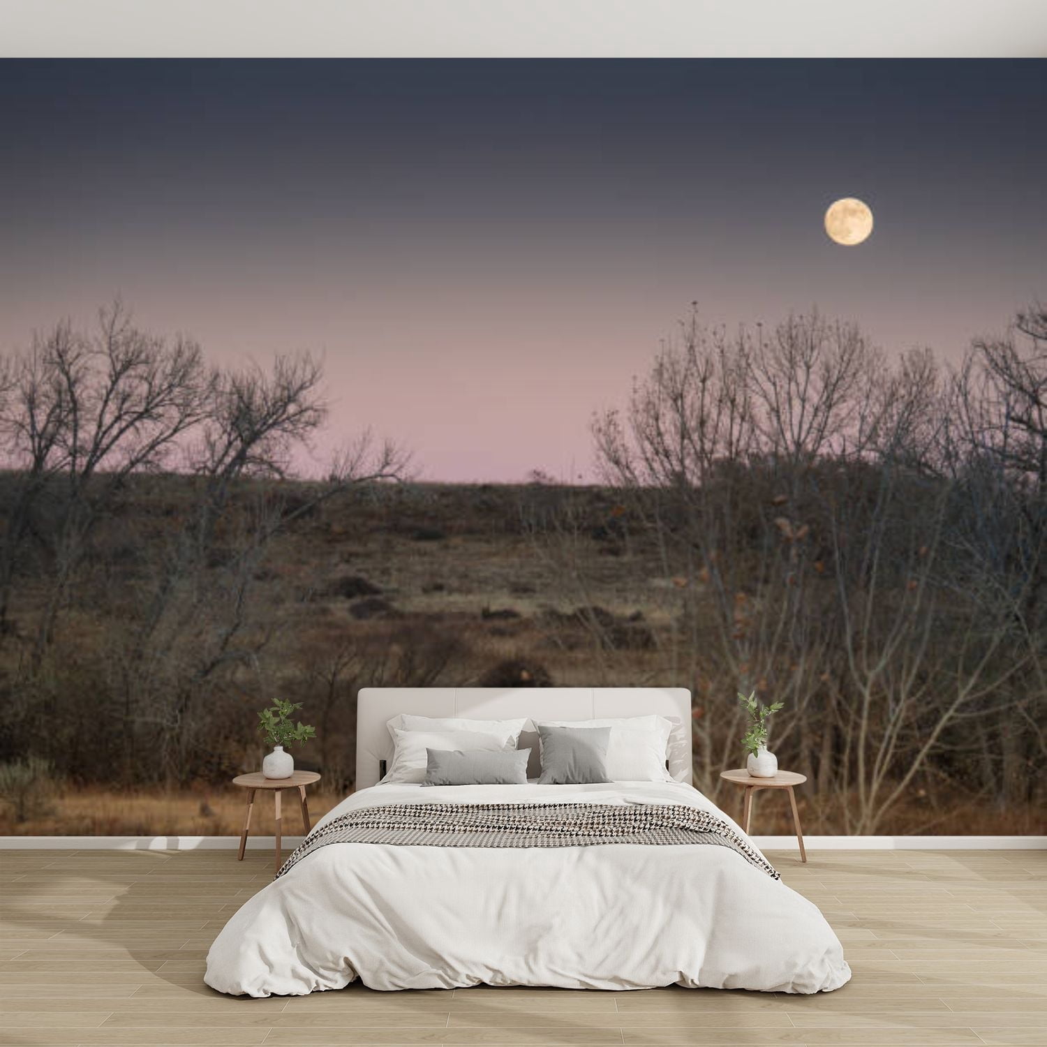 Modern Wallpaper Murals 3D Winter moon rise Colorado Peel and Stick ...