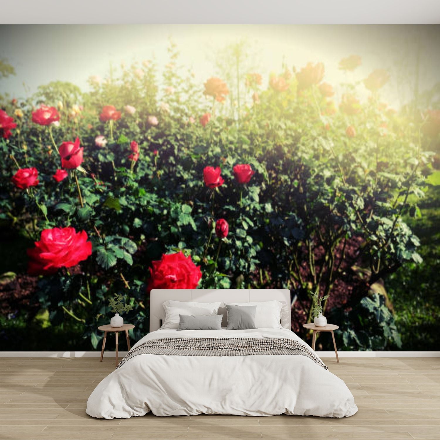 Modern Wallpaper Murals 3D fresh red roses flower blossoming Peel and ...