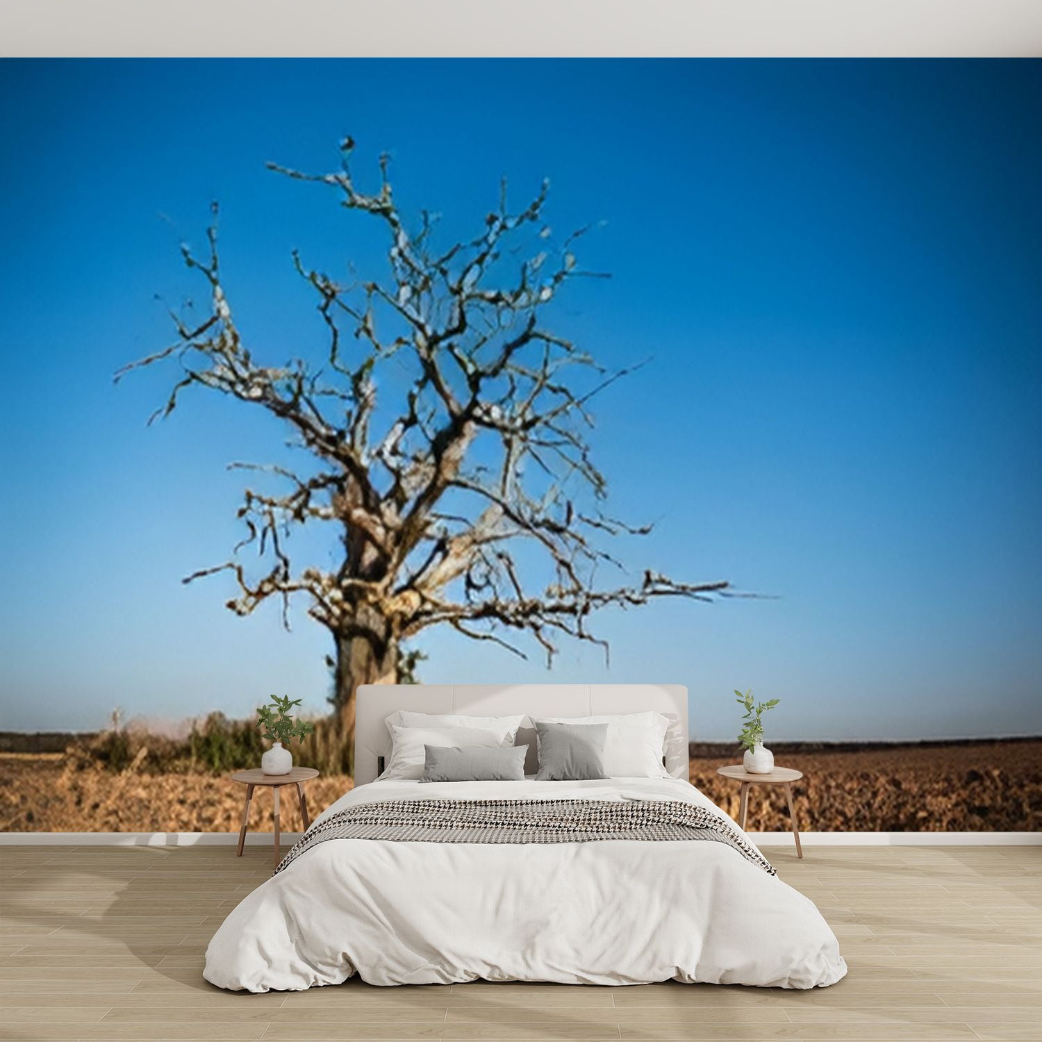 Modern Wallpaper Murals 3D An old withered branched oak field sunny ...