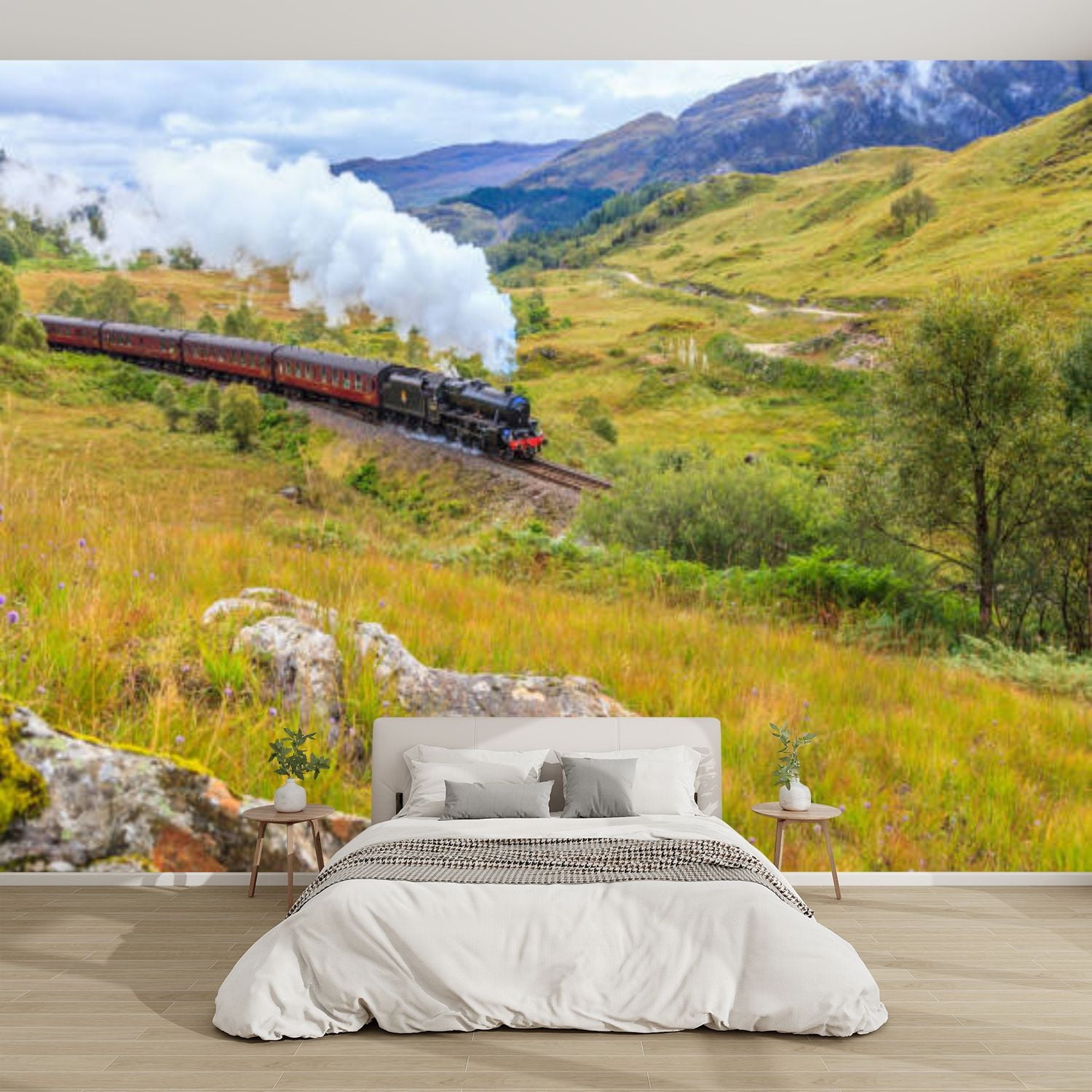 Modern Wallpaper Murals 3D train passes Scottish Highlands Peel and ...