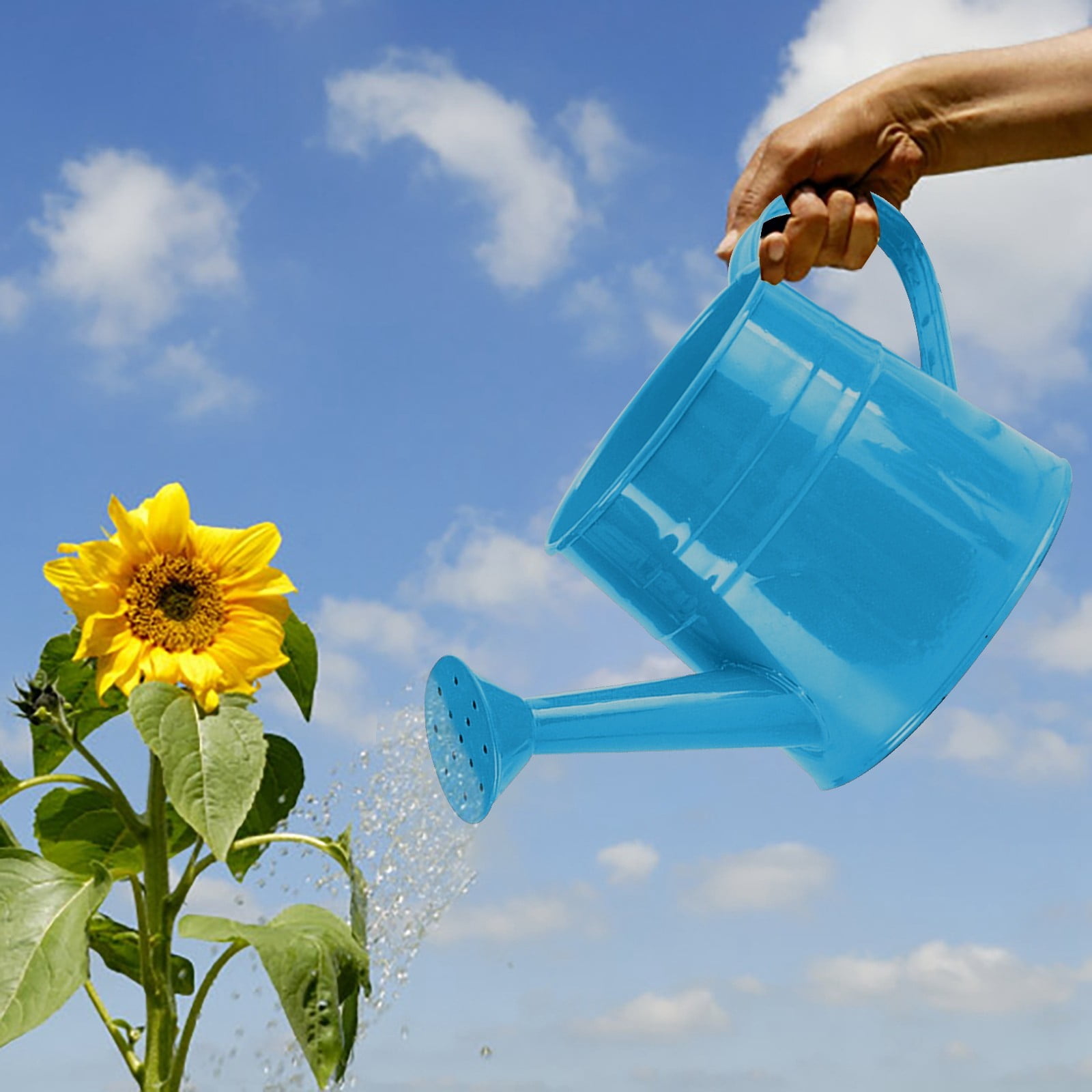 Modern Watering Can For Indoor And Outdoor Use Elegant For Efficient ...
