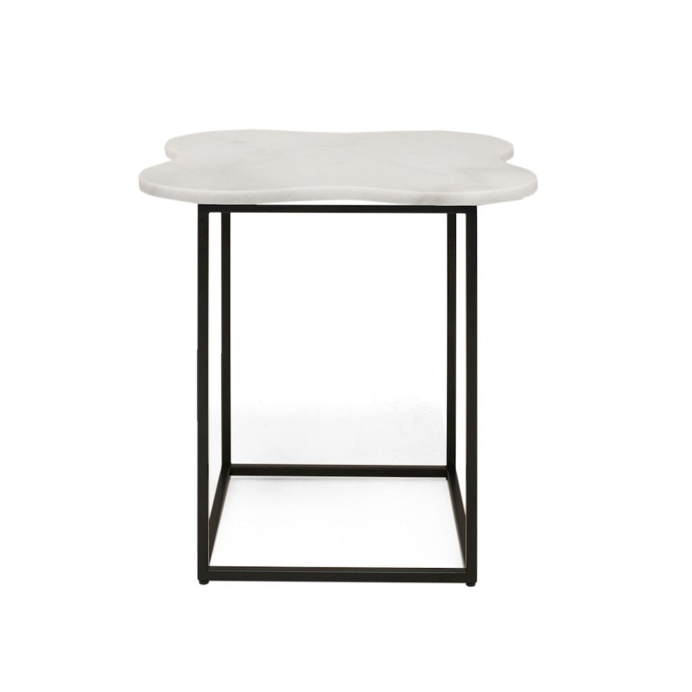 Modrest Aleidy Square Metal & Marble End Table in Black/White Finish ...