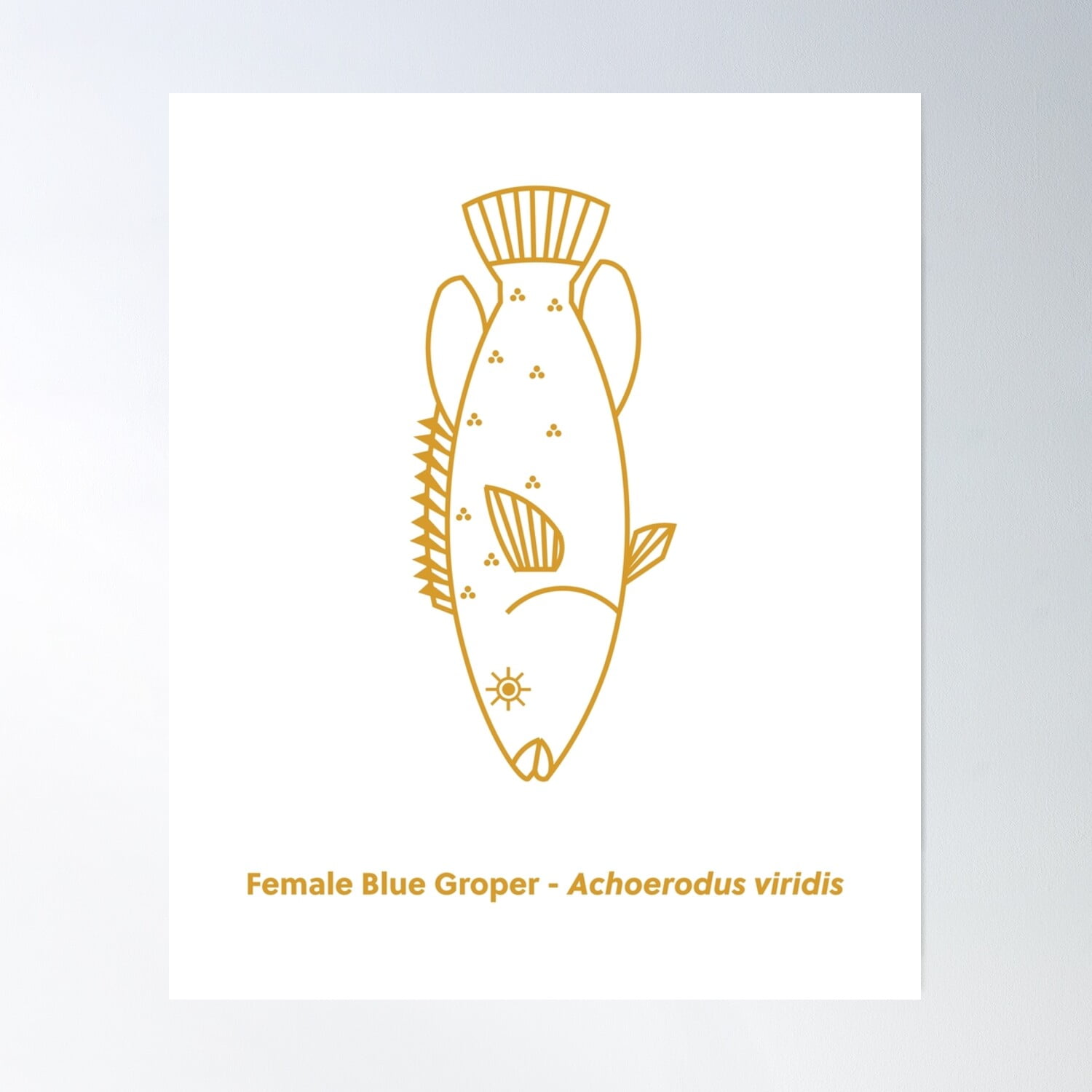 Modroom Adorable Female Blue Groper In Golden Yellow And White Poster ...