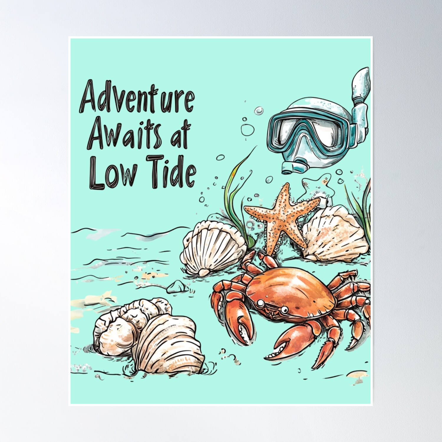Modroom Adventure Awaits At Low Tide – Beachcomber Tidepool Exploration ...