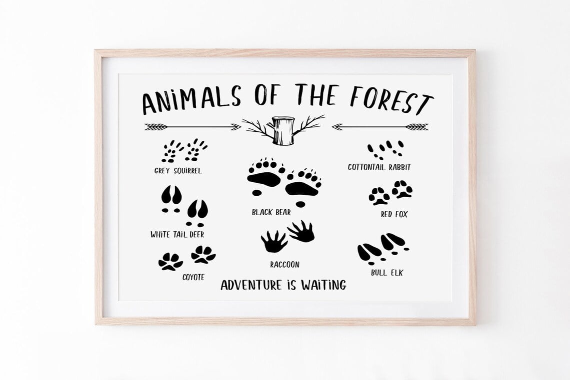 Modroom Animal Tracks Print, Woodland Animal Tracks, Forest Animal ...