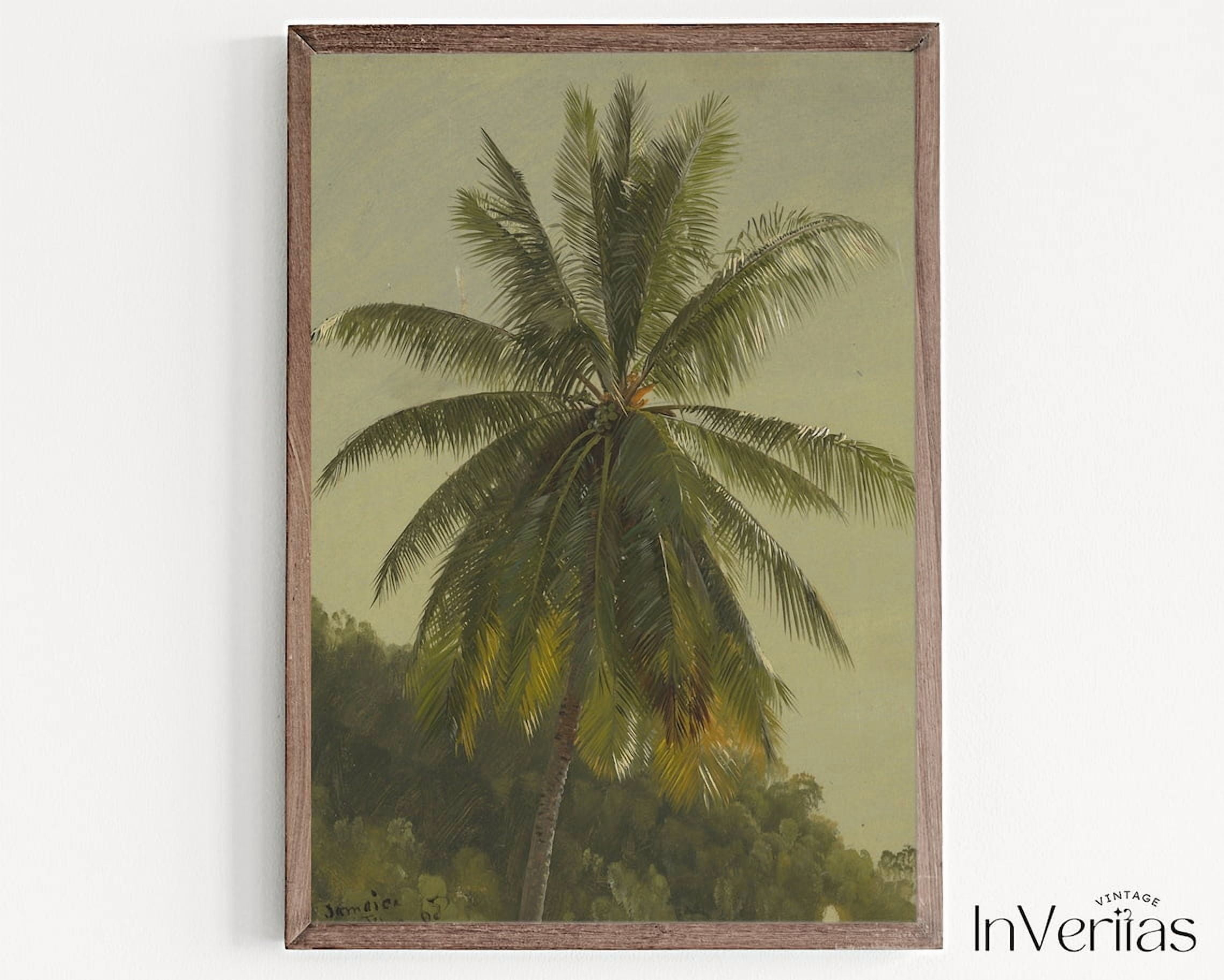 Modroom Antique Palm Tree Print, Vintage Palm Tree Painting, Tropical ...