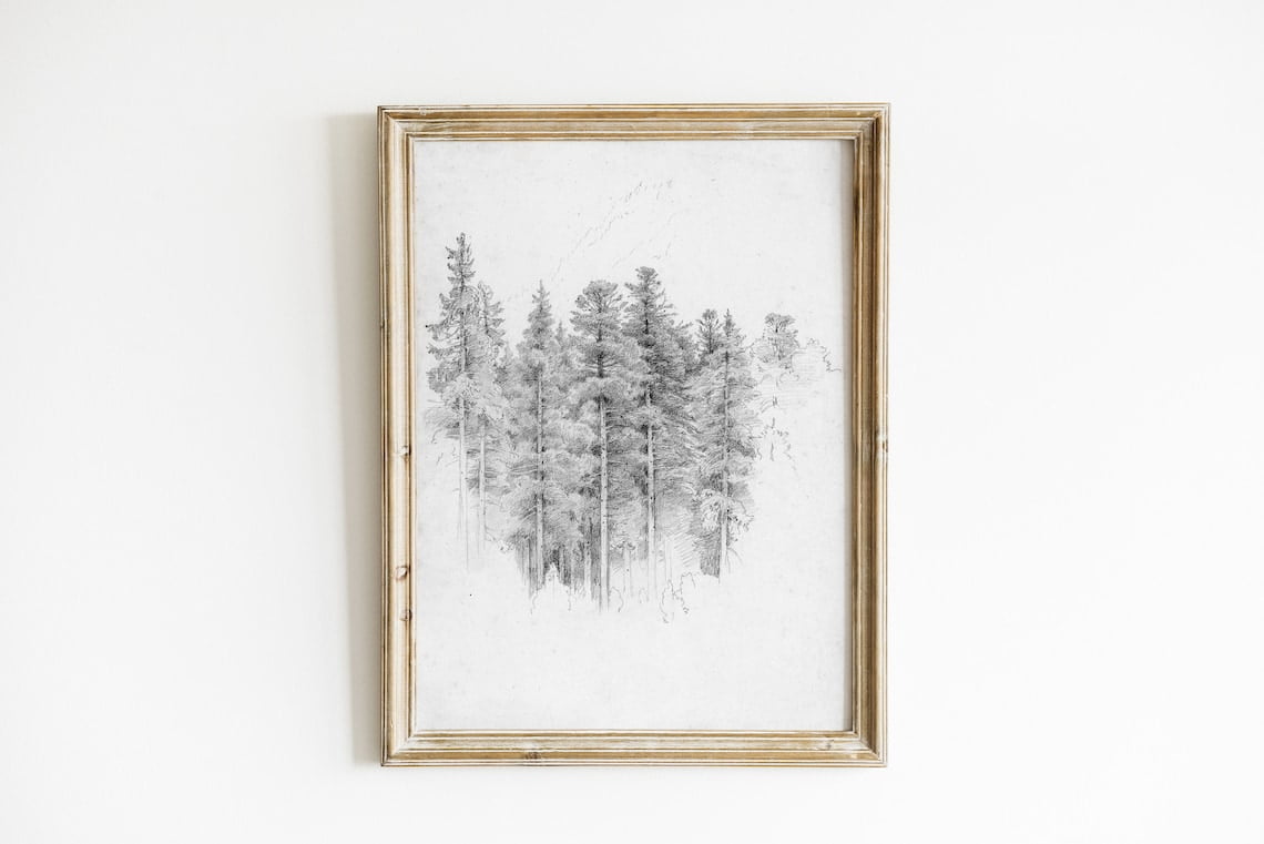 Modroom Antique Sketch Of Pine Tree Forest | Vintage Sketch Art | Muted ...