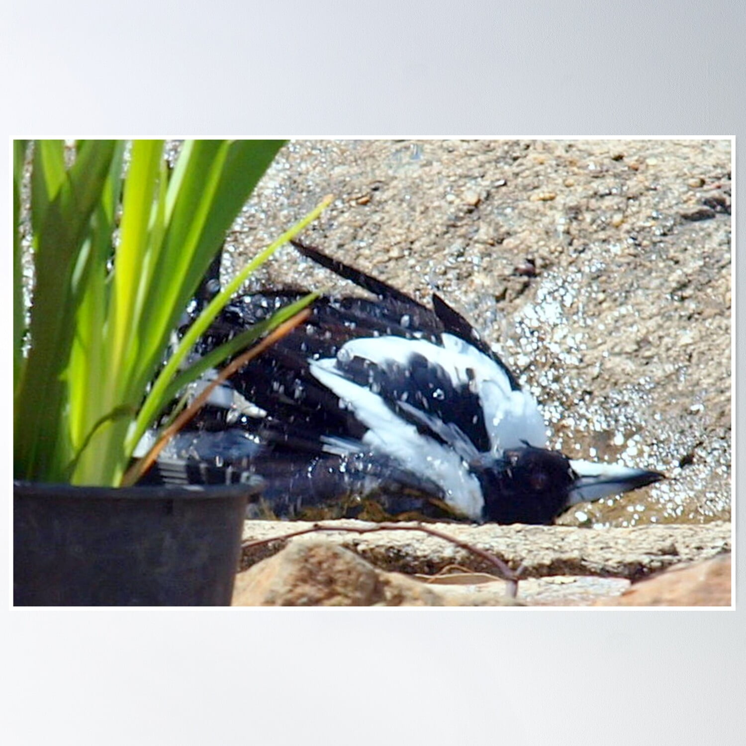 Modroom Bath Time Poster Wall Art, Modern Wall Decor, 16x24 UNFRAMED - Walmart.com