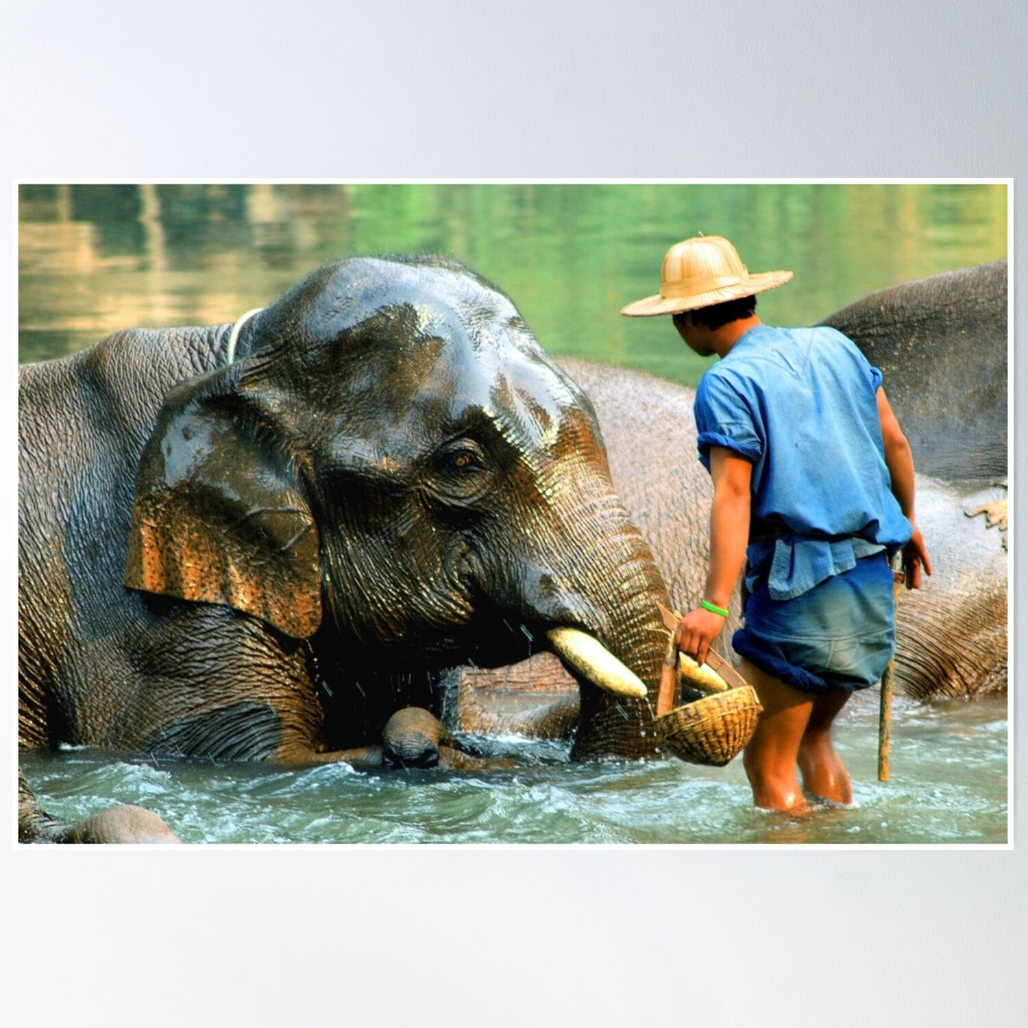 Modroom Bath Time Poster Wall Art, Modern Wall Decor, 8x12 UNFRAMED - Walmart.com