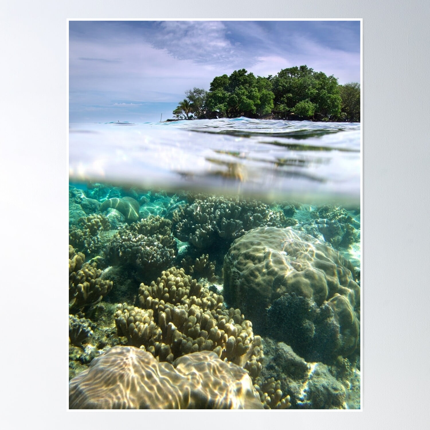 Modroom Black Coral Island - Pohnpei, Micronesia Poster Wall Art ...