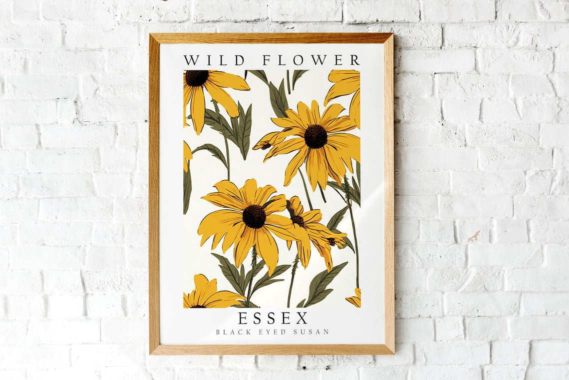 Modroom Black Eyed Susan Poster Print Wild Flower of Essex Wall Decor ...