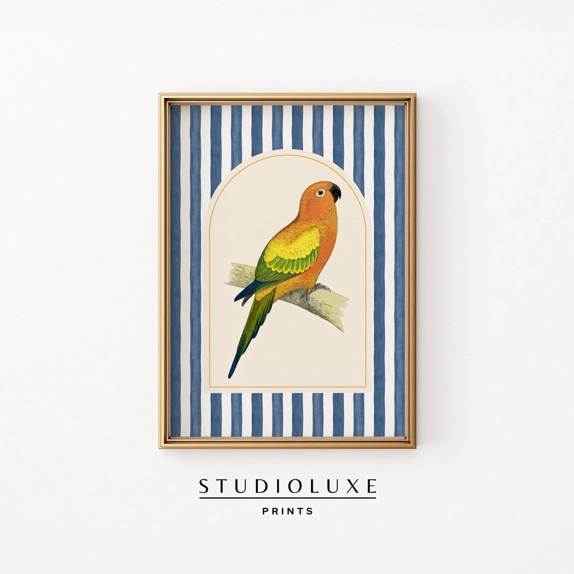 Modroom Blue Stripe Parrot Art Print, Tropical Bird, Grandmillennial ...