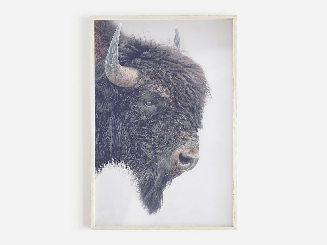 Modroom Buffalo Print, Bison Wall Art, Western Prints, Boho Bison Wall ...