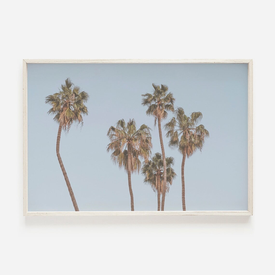 Modroom California Palm Poster, Summer Decor, Beach Wall Art, Tropical ...
