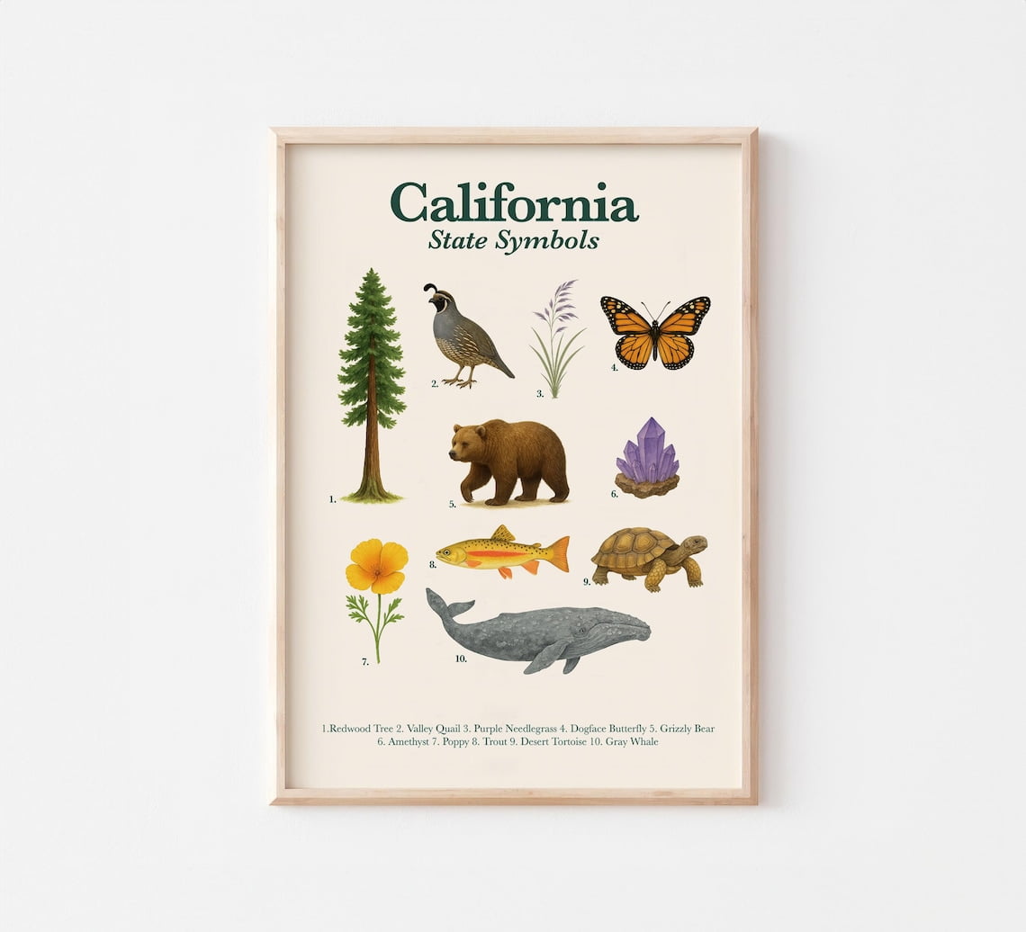 Modroom California State Symbols Poster | Educational | State Animal ...