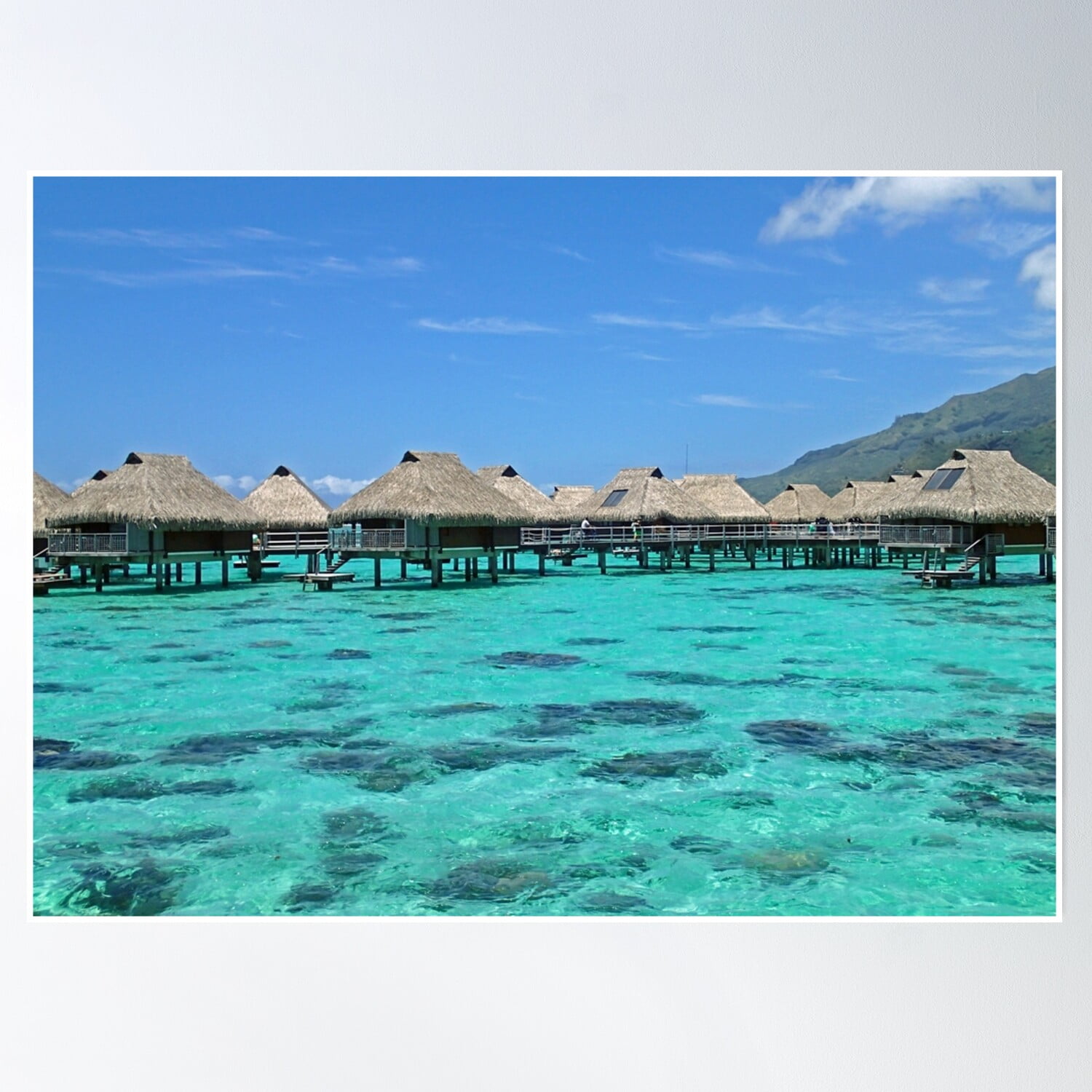 Modroom Coral Garden And Overwater Bungalows, Moorea, Tahiti Poster ...