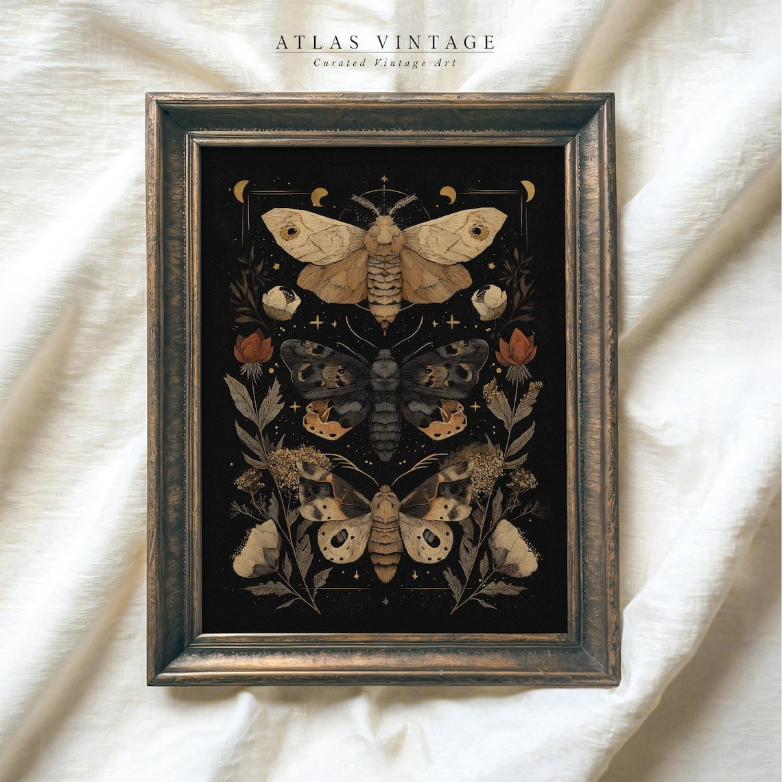 Modroom Dark Academia Gothic Moth, Victorian Floral Insect Print ...