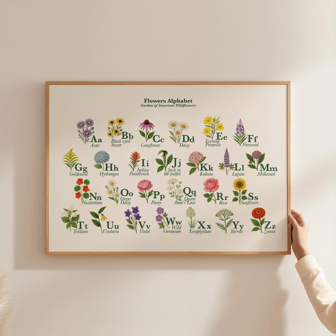 Modroom Flowers Alphabet Poster Woodlands Wildflowers Abc | Botanical ...