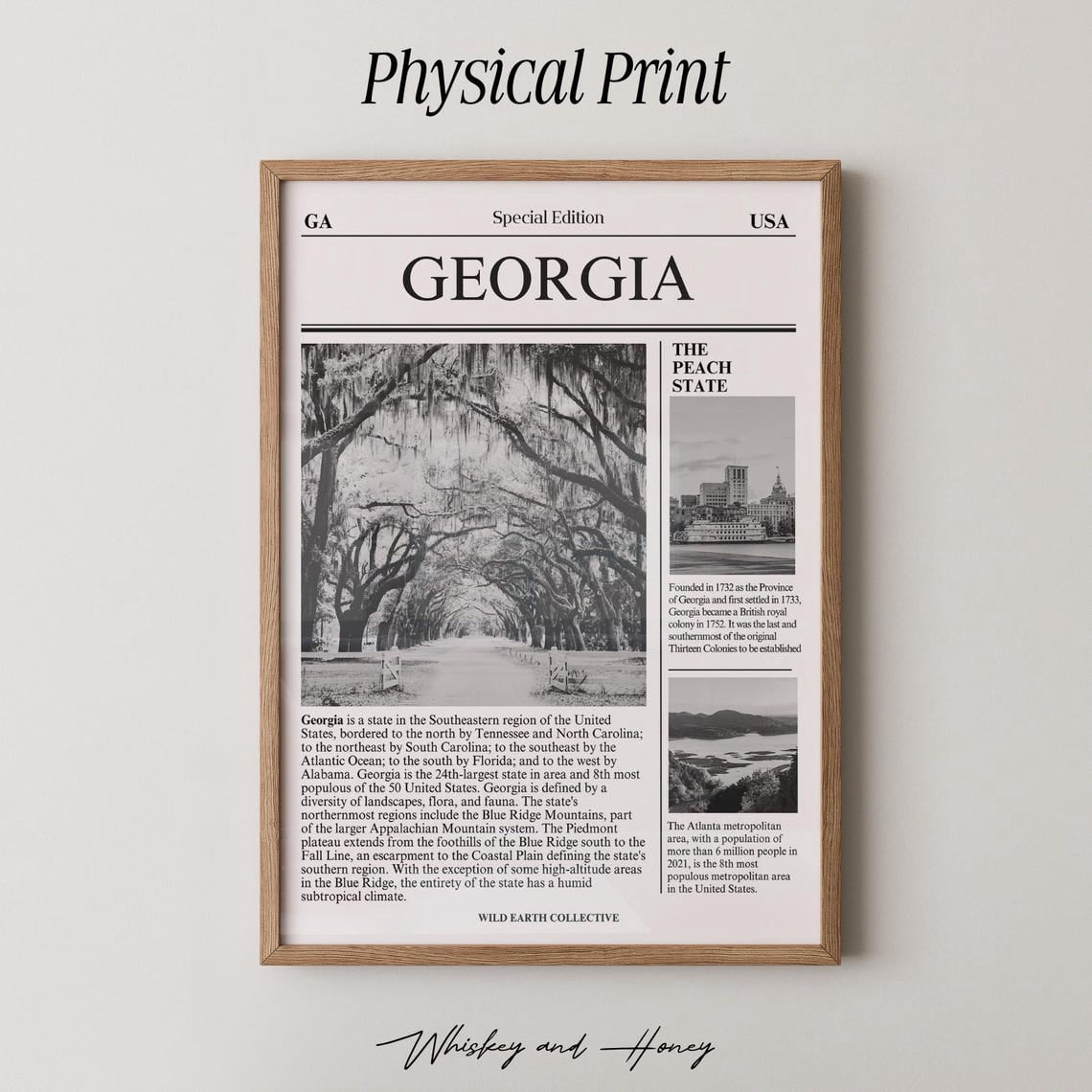 Modroom Georgia State Wall Art | Georgia Poster | Travel Poster ...