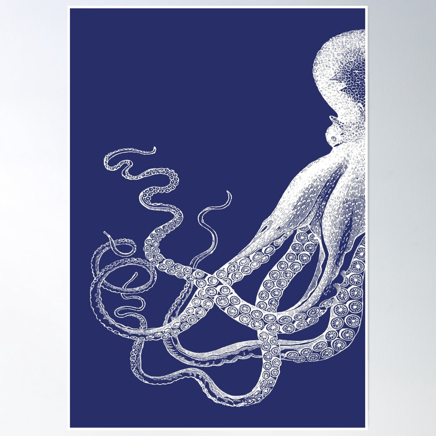 Modroom Half Octopus | Left Side | Vintage Octopus | Tentacles | Sea ...